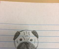 How to Draw a Pug : 7 Steps - Instructables