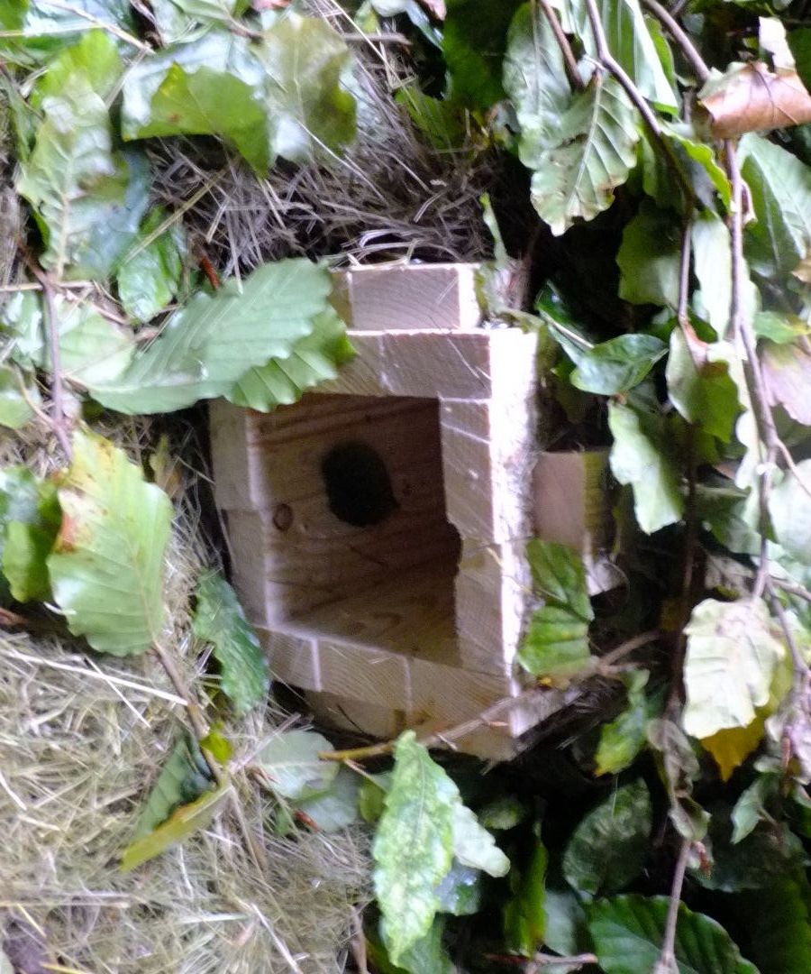 Hedgehog Hibernation Box : 11 Steps (with Pictures) - Instructables