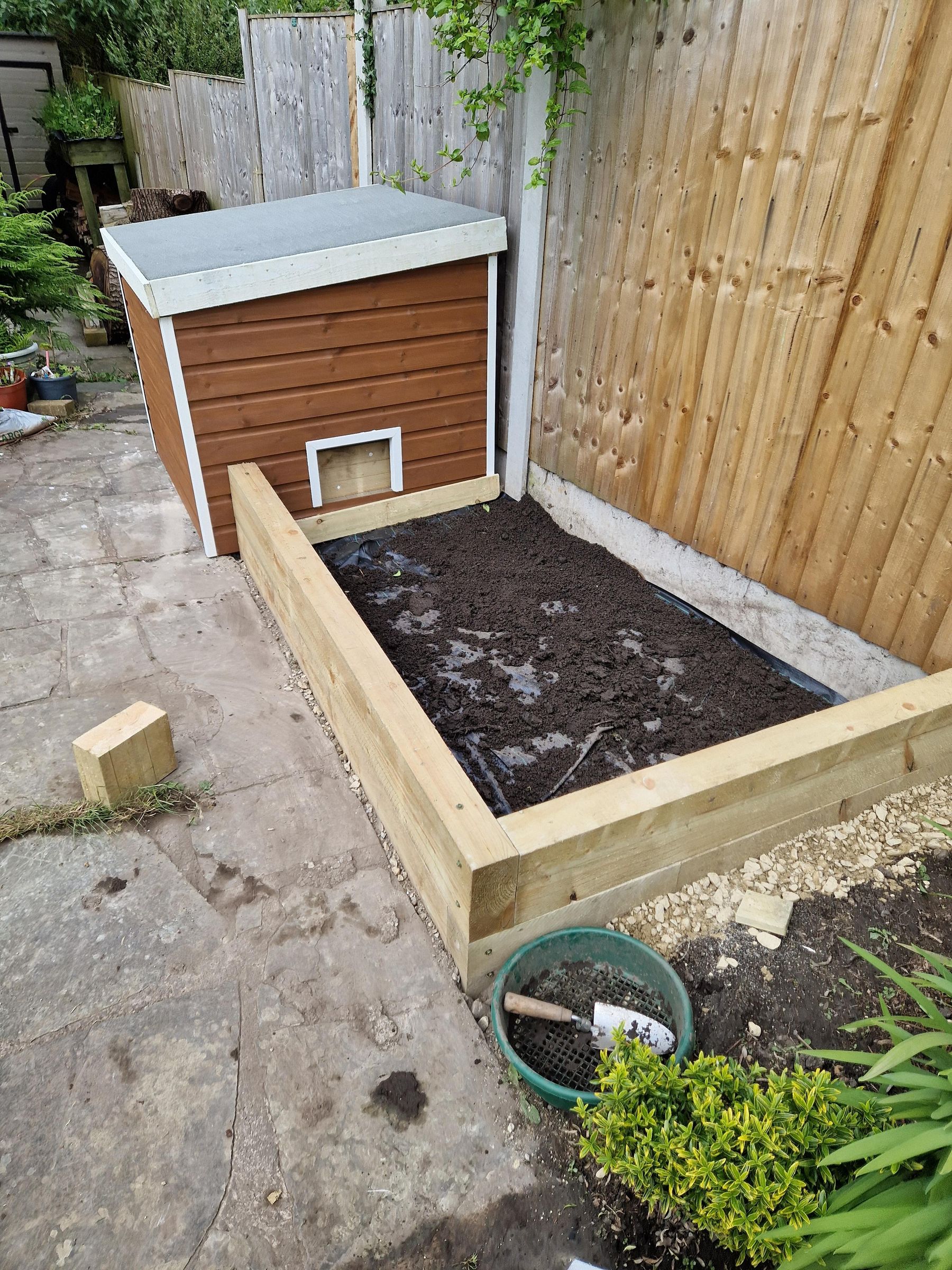 Building A Tortoise Shelter