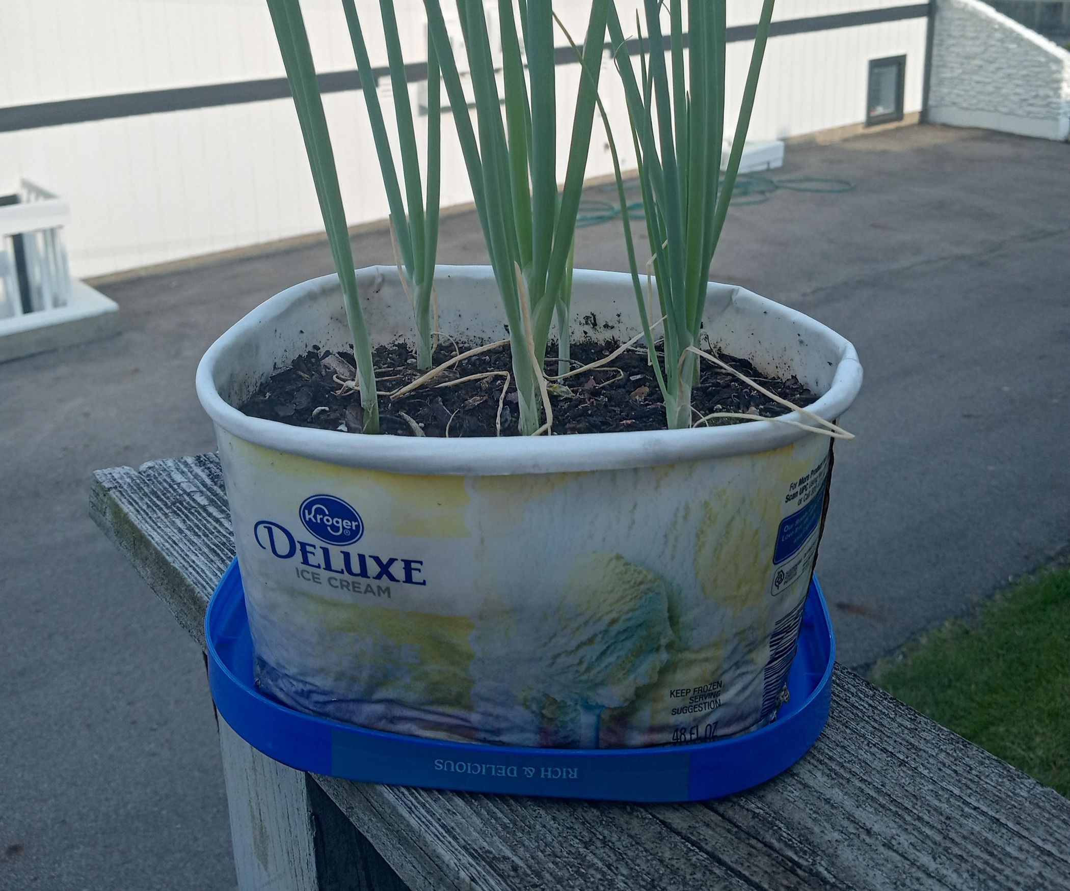 Ice Cream Onion Planter - Instructables