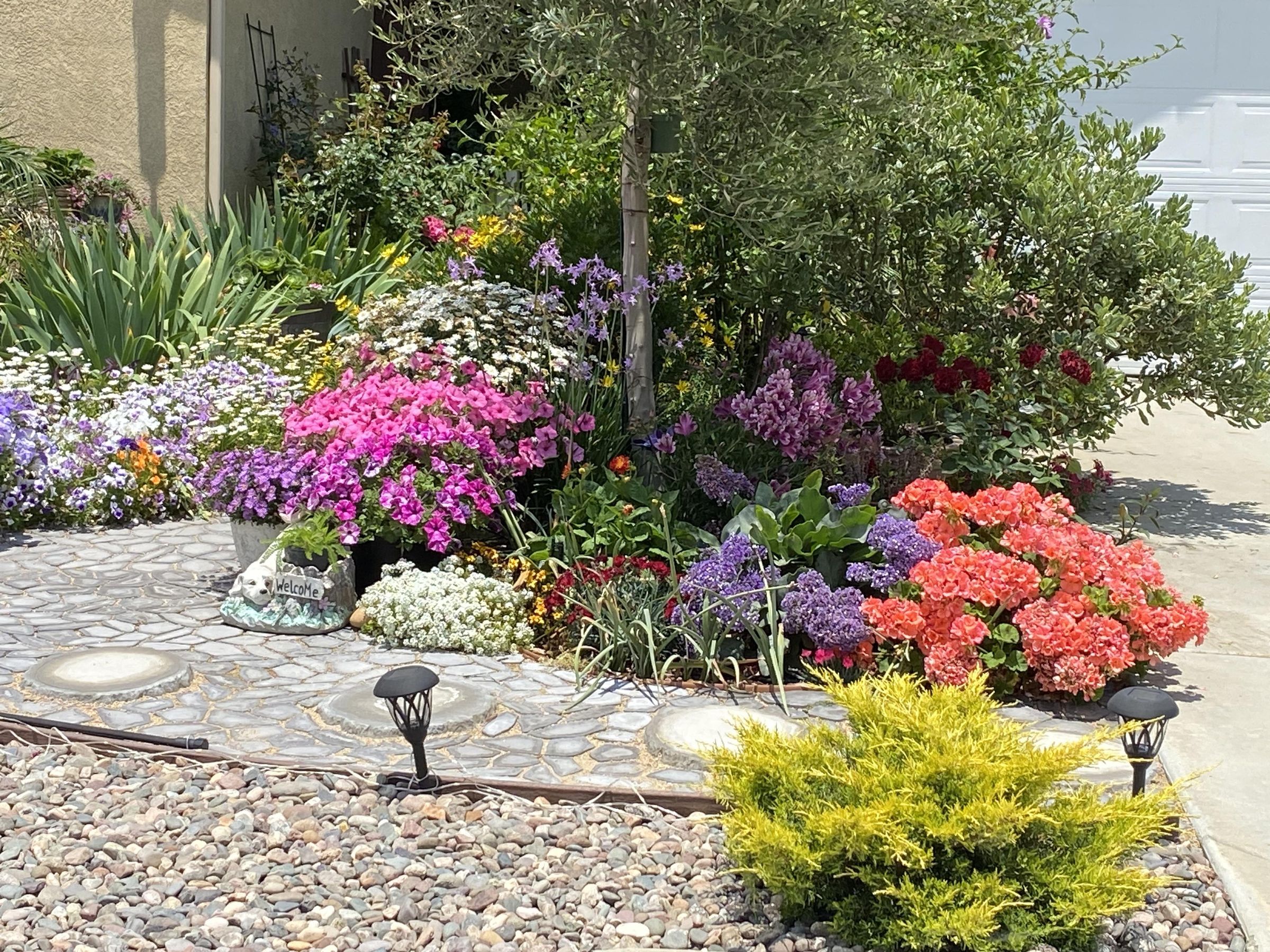 My Garden Project - Combination of Landscaping, Irrigation and Flower ...