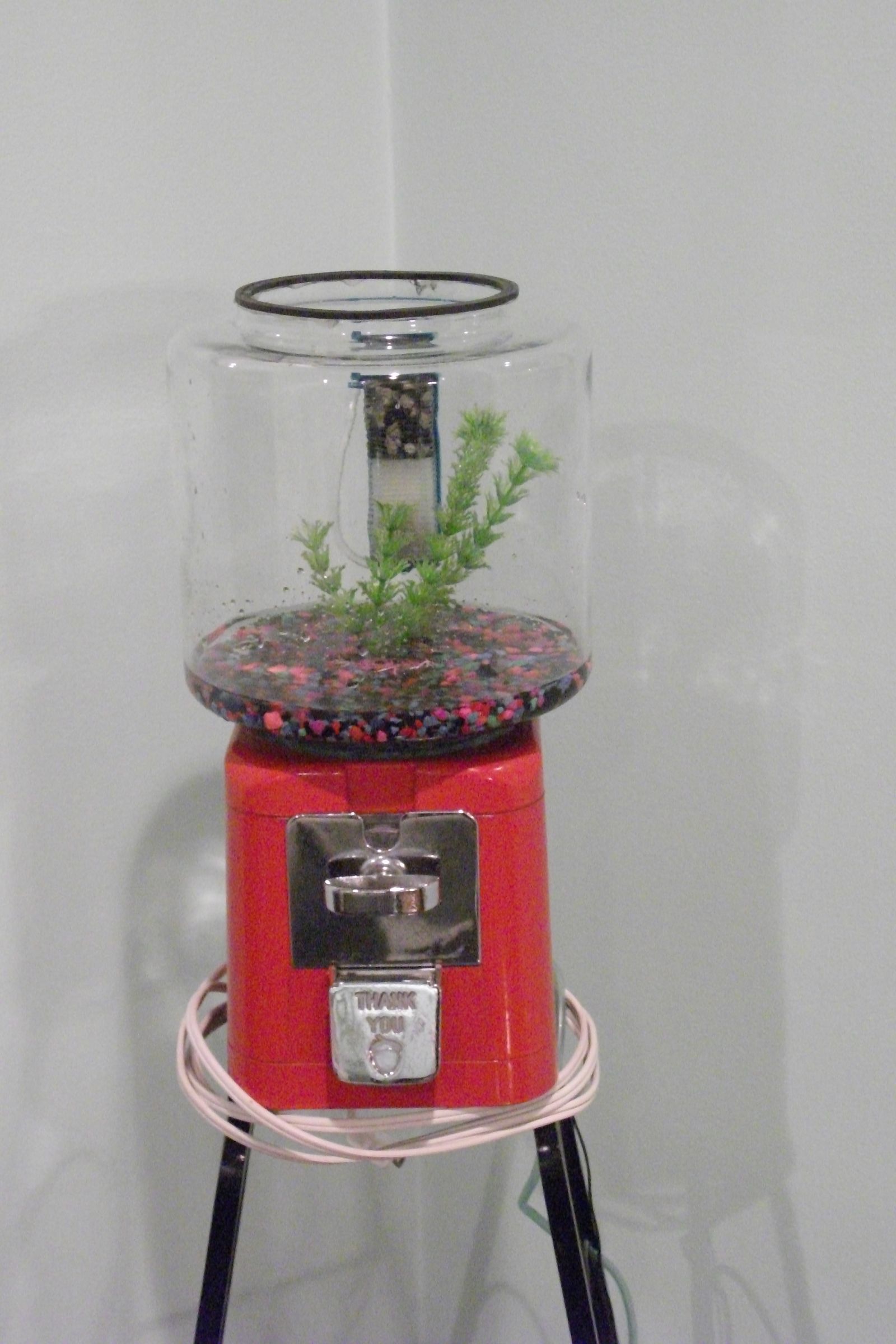 Gumball Machine Fish Tank : 9 Steps (with Pictures) - Instructables