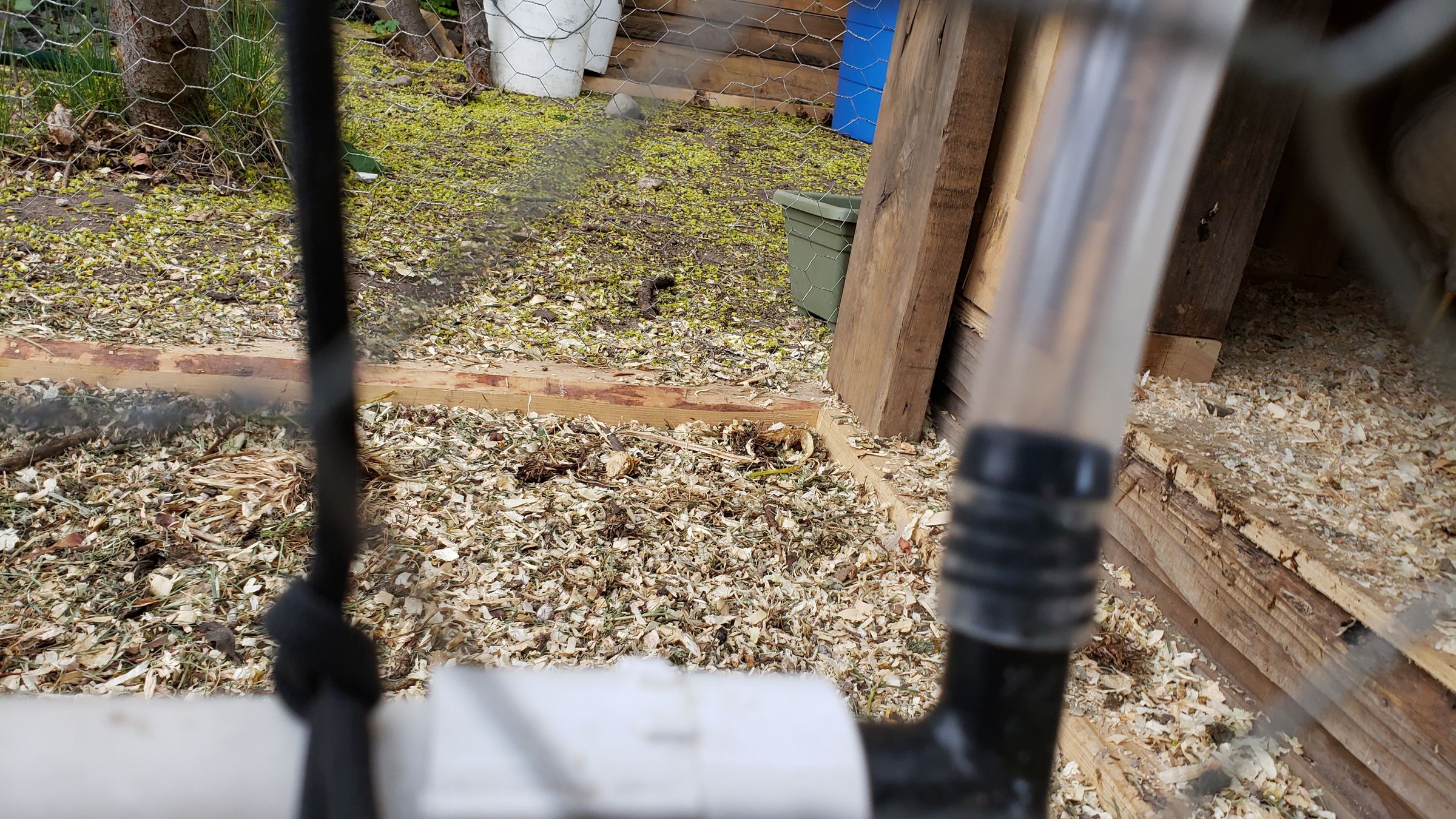 Chicken Water Tower : 3 Steps - Instructables