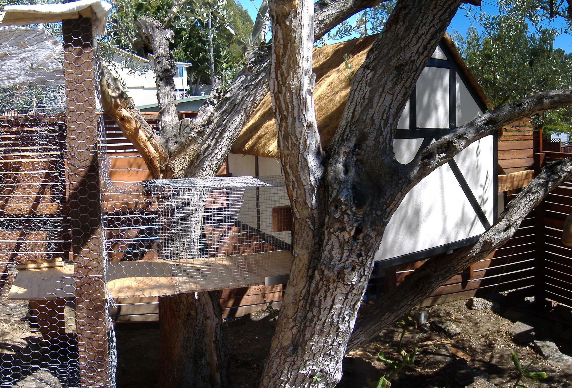 Half Timbered Thatched Roof Chicken Coop Treehouse : 4 Steps (with ...