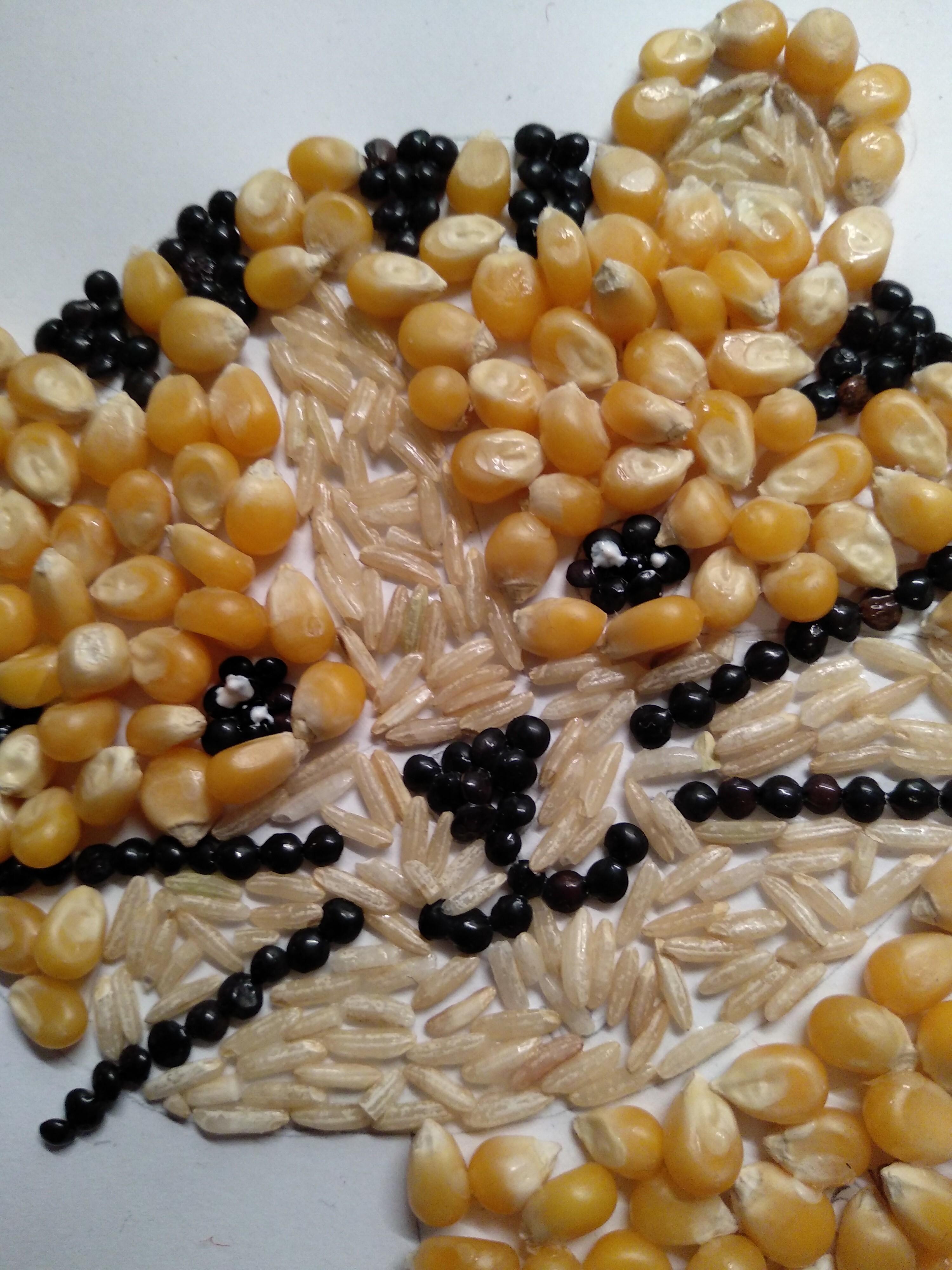 Easy Grains Art : 3 Steps - Instructables