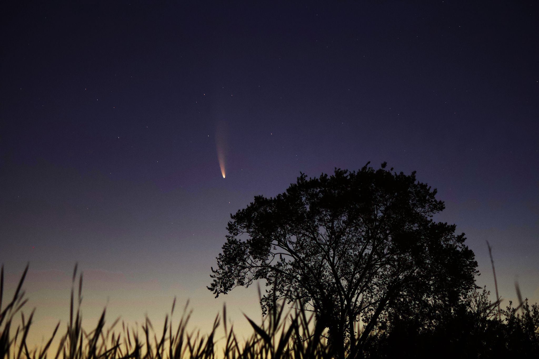 Photographing Comets From Your Backyard : 9 Steps (with Pictures ...