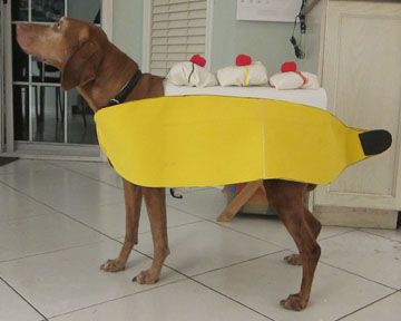 Make a Banana Split Dog Costume : 4 Steps (with Pictures) - Instructables