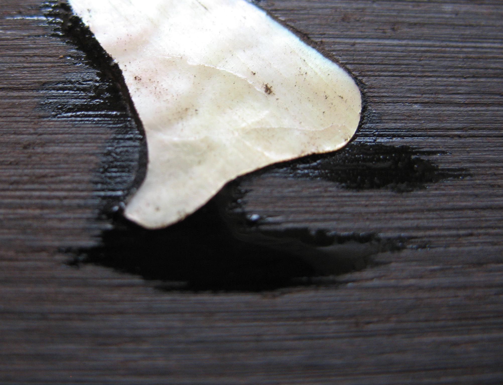 Handcut Inlay : 10 Steps (with Pictures) - Instructables