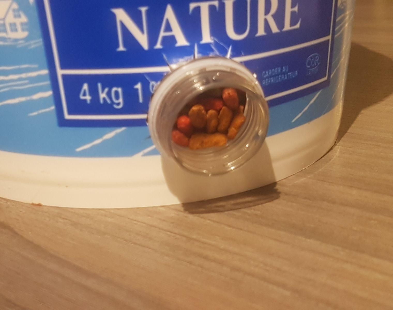 DIY UPCYCLED WILDLIFE FEEDER : 4 Steps - Instructables