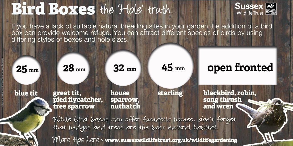 Squirrel Proof Bird Feeder Challenge : 43 Steps (with Pictures ...