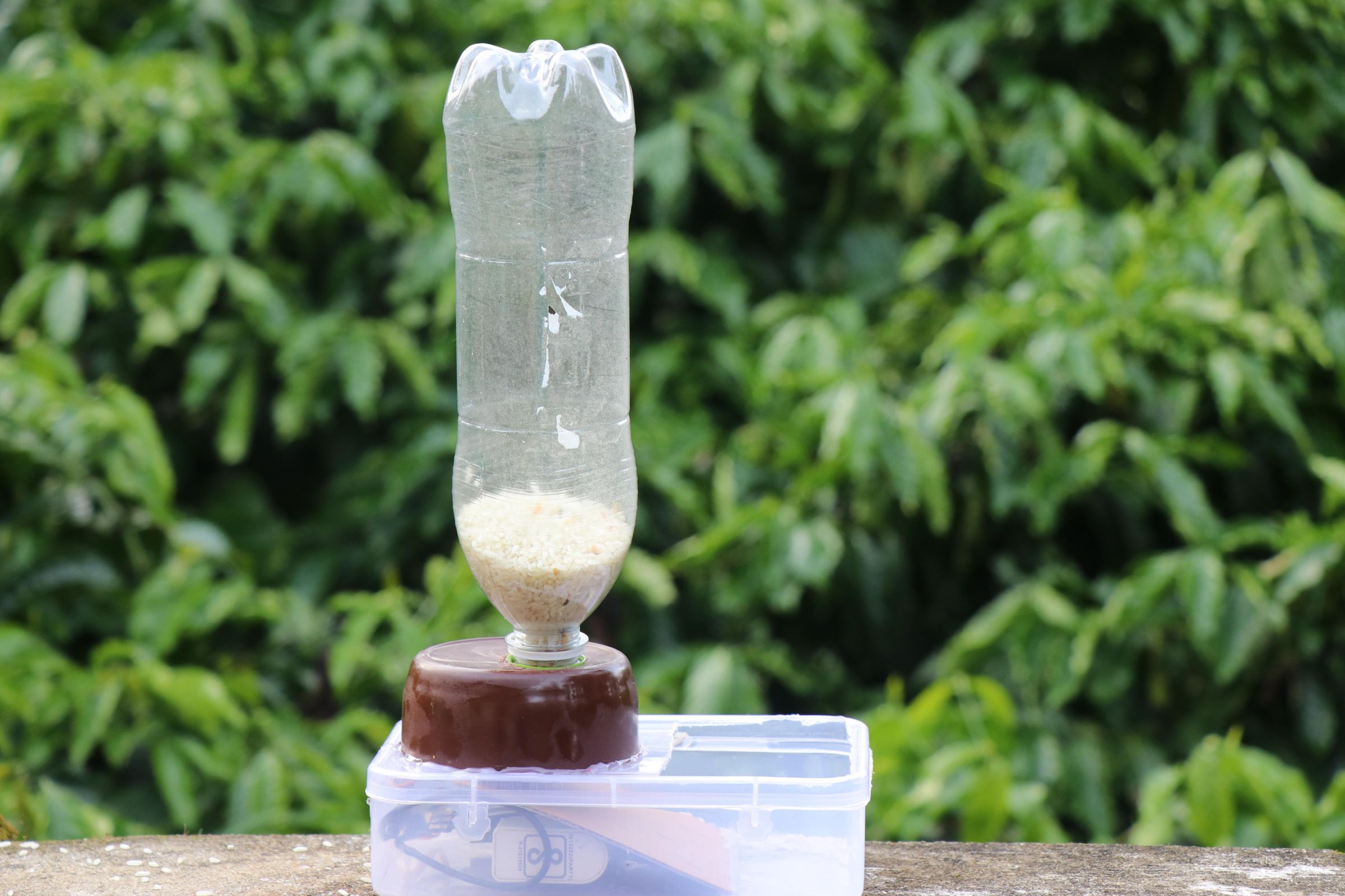 DIY Smartphone Controlled Chicken Feeder : 7 Steps (with Pictures ...