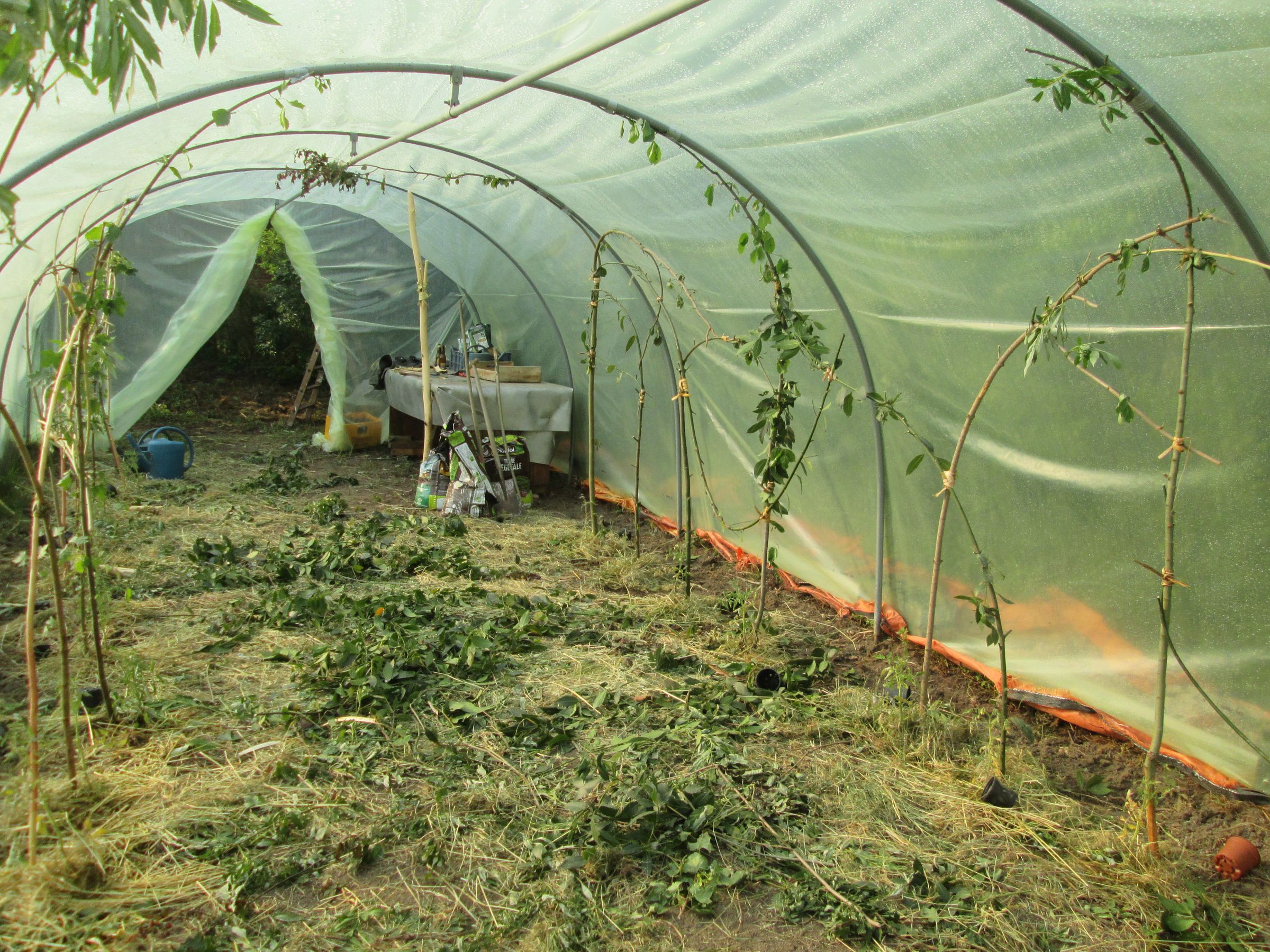 The Corona Diaries - Getting Started With Permaculture Gardening : 17 ...