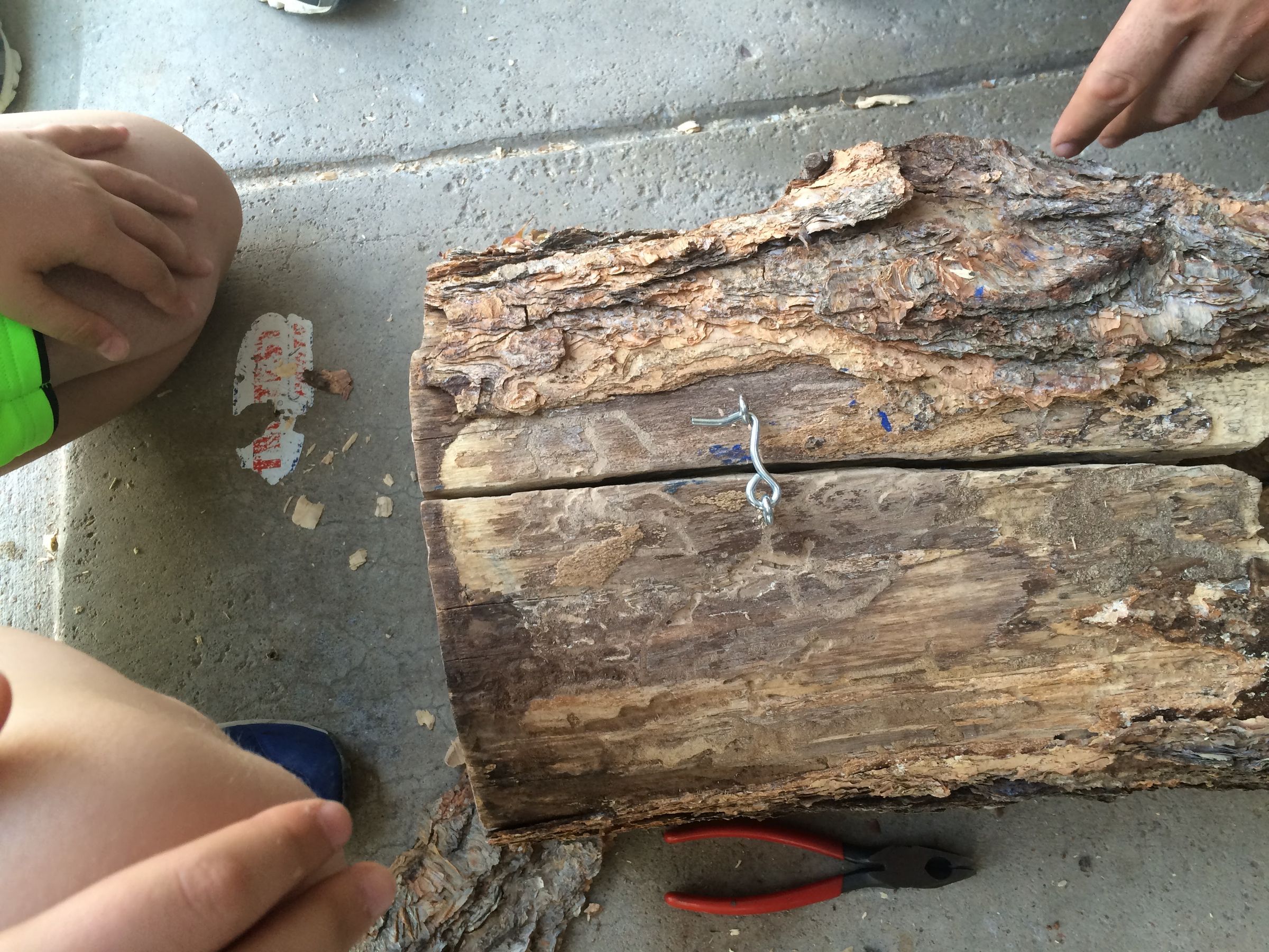 Red-Headed Woodpecker Nesting Box : 7 Steps (with Pictures) - Instructables