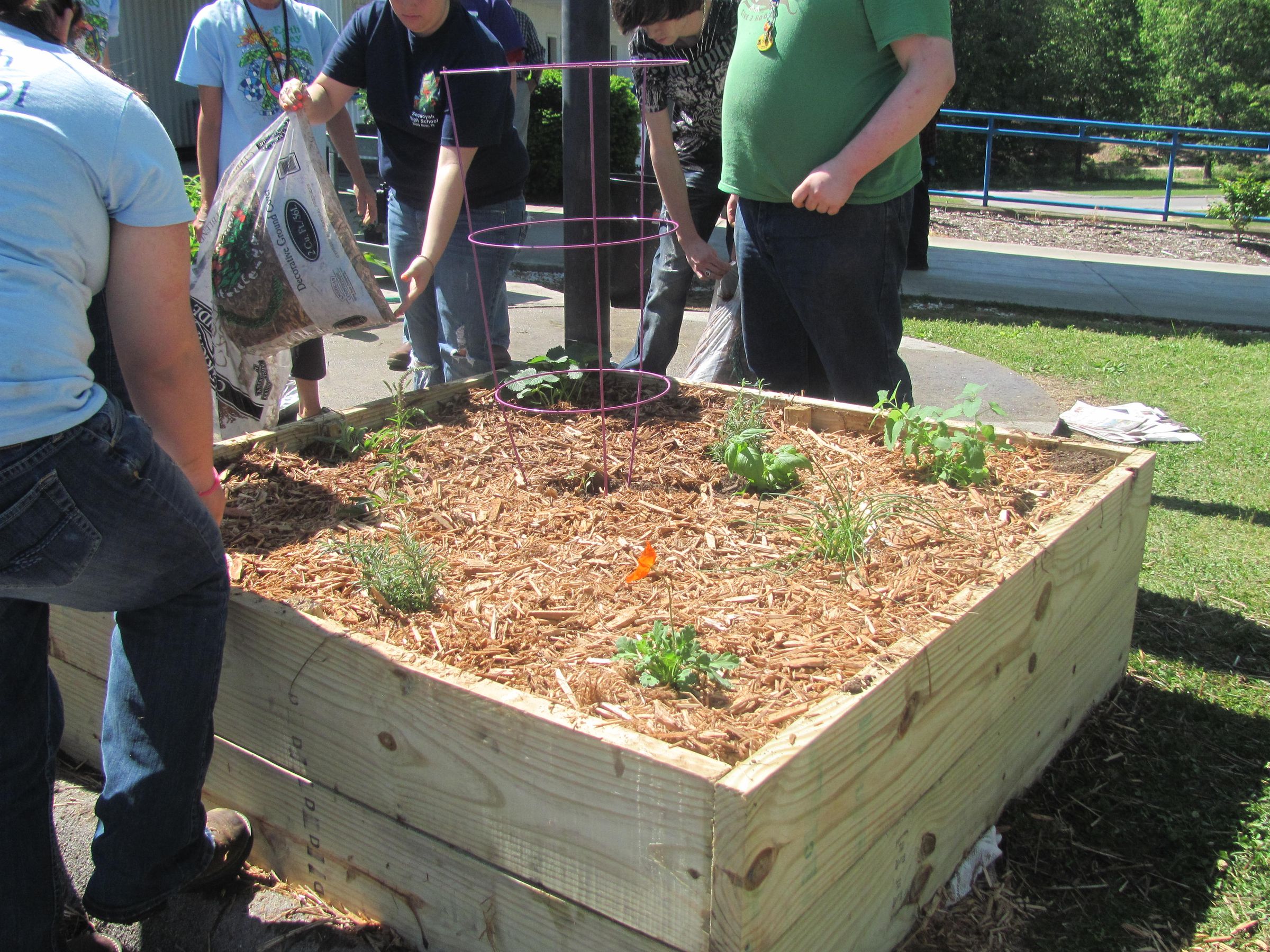 Lasagna Garden From Start to Finish. By: SHS! : 10 Steps - Instructables