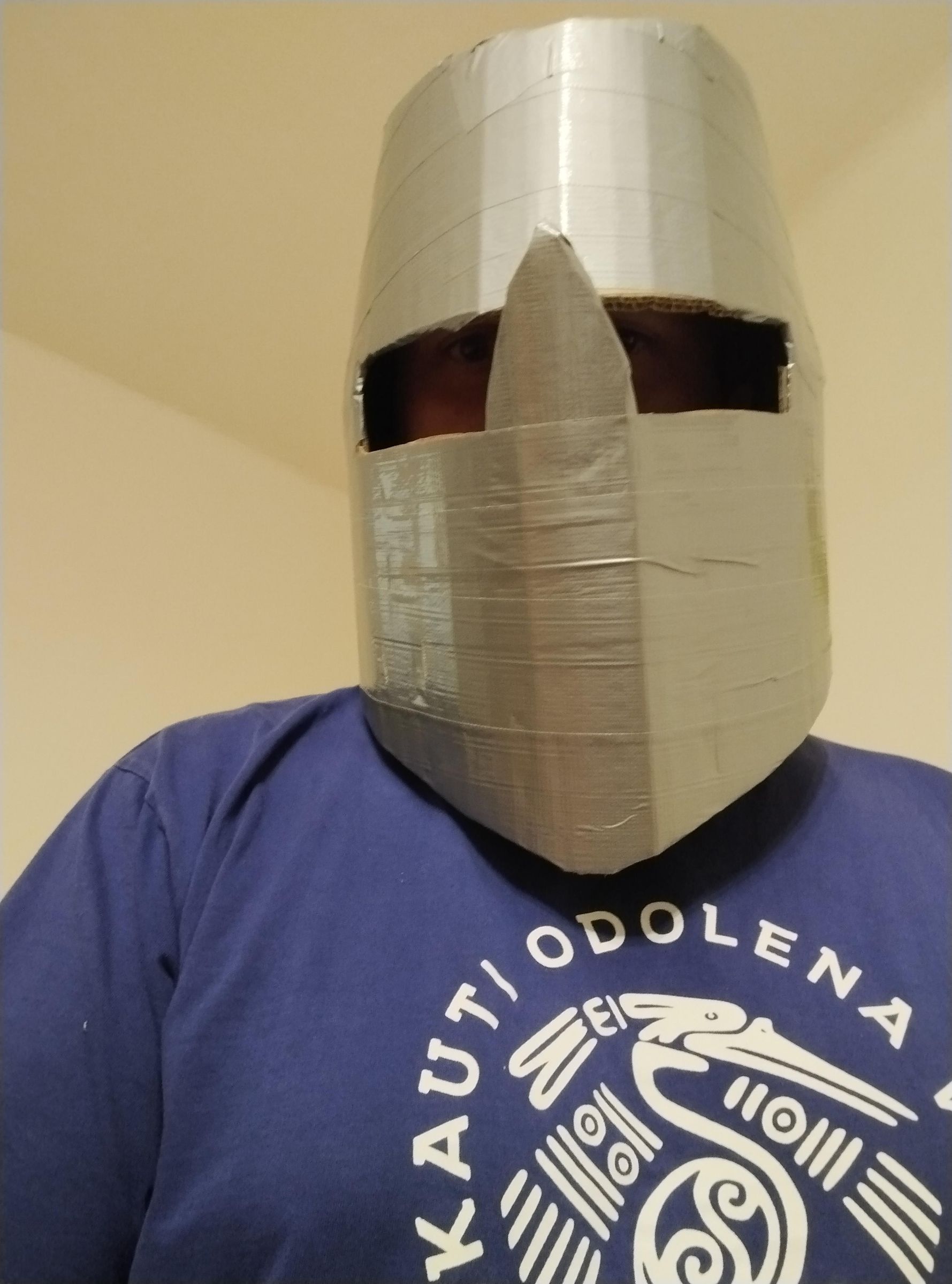 Deluxe Knight's Helm : 6 Steps (with Pictures) - Instructables