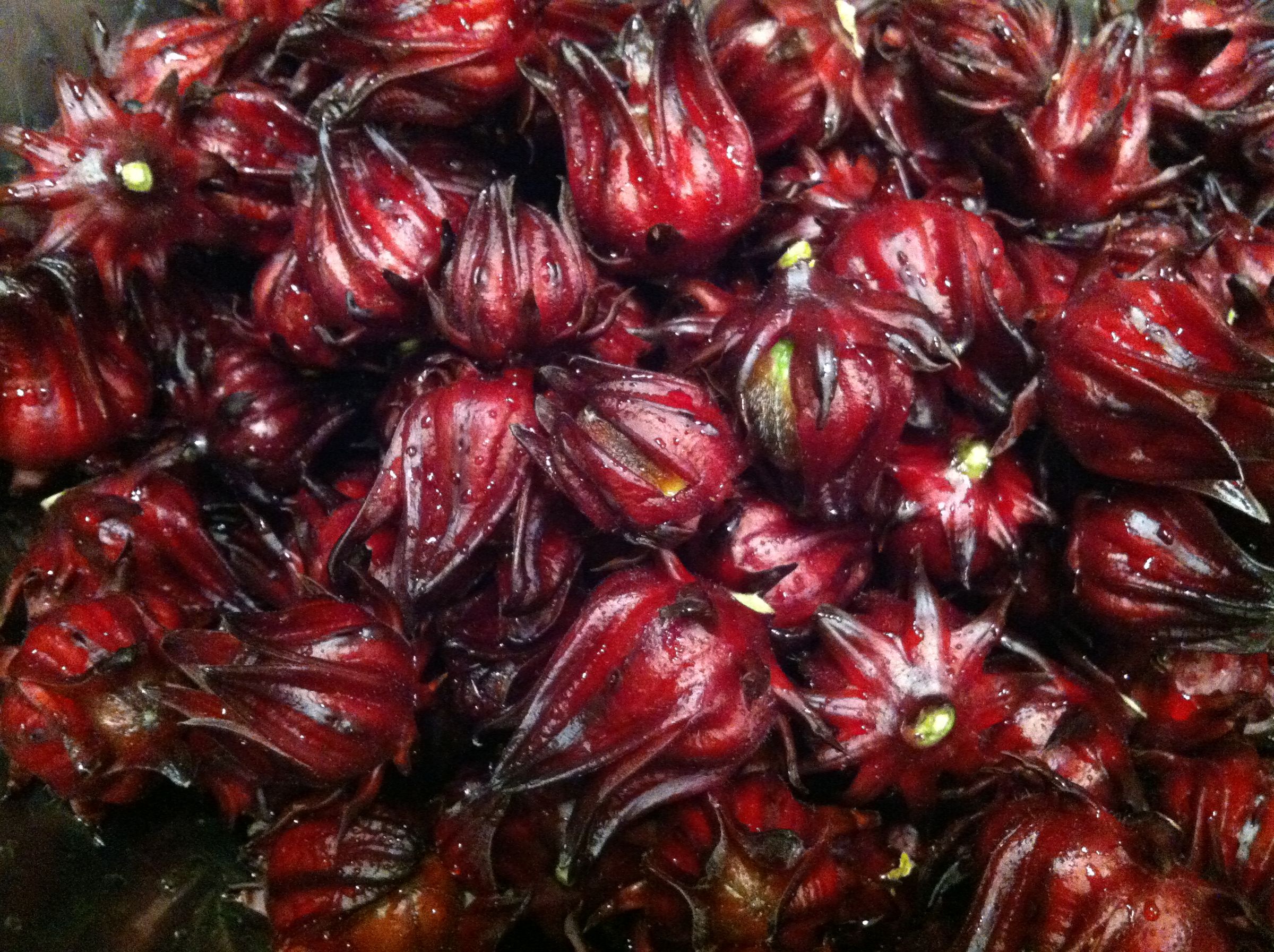 Roselle Syrup for Drinks! : 5 Steps (with Pictures) - Instructables