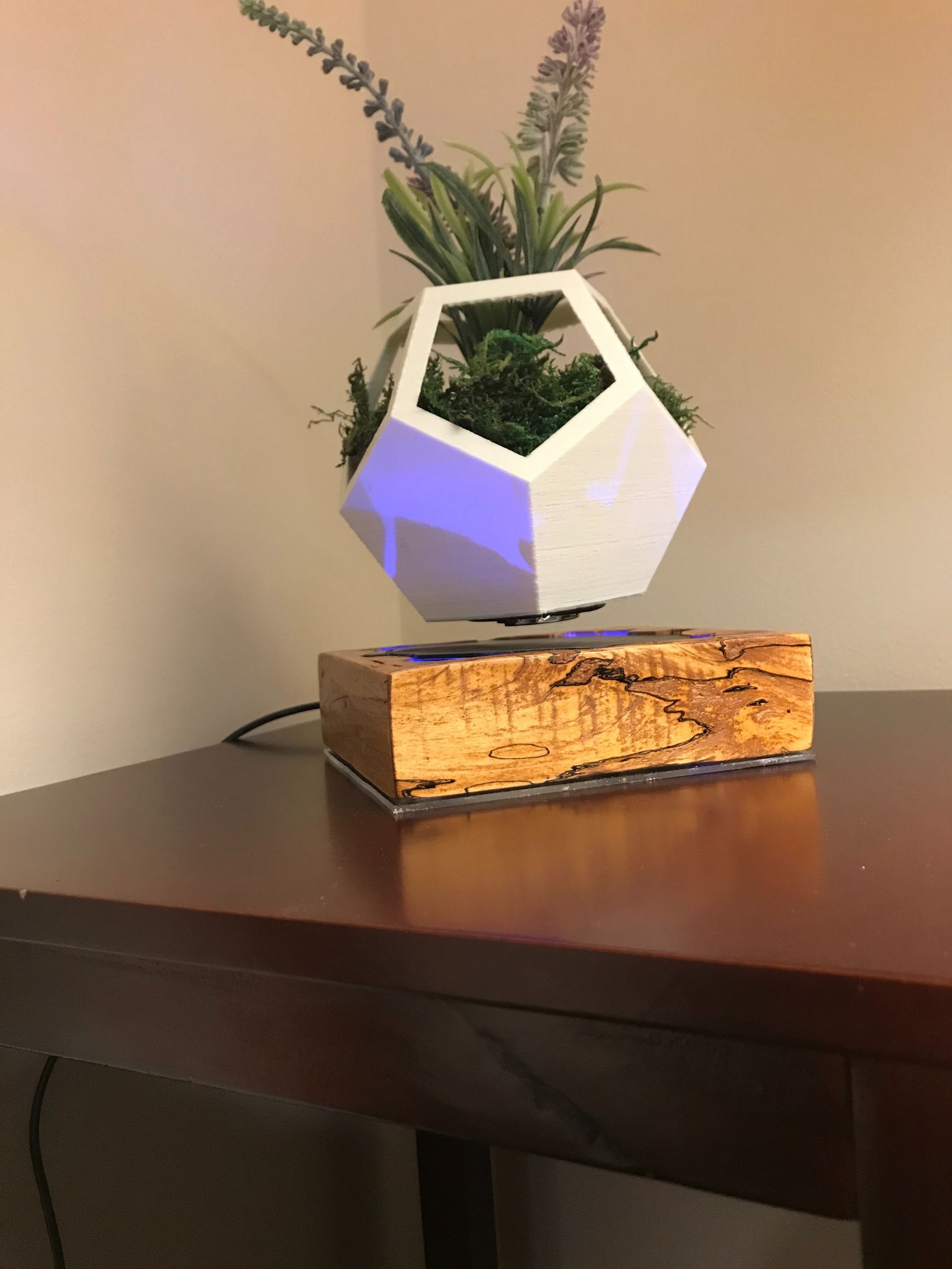 Magnetic Levitating Flower Pot : 4 Steps (with Pictures) - Instructables