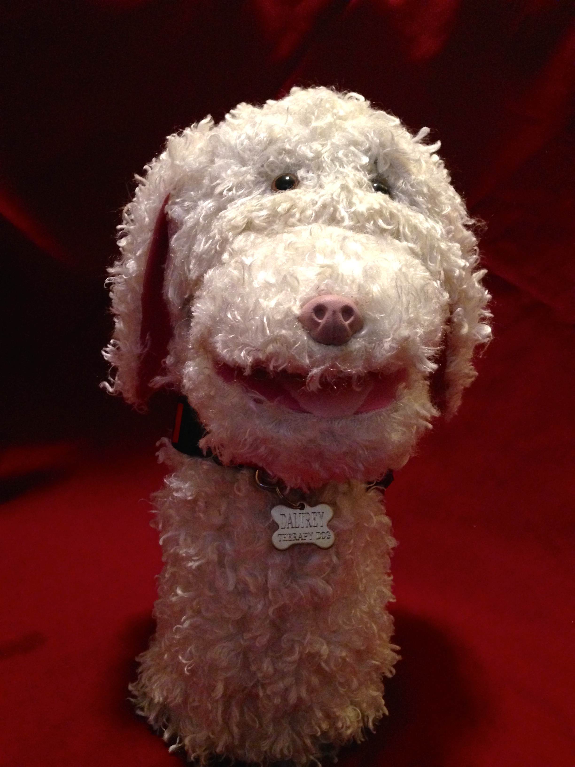 DIY Dog Puppet : 5 Steps (with Pictures) - Instructables