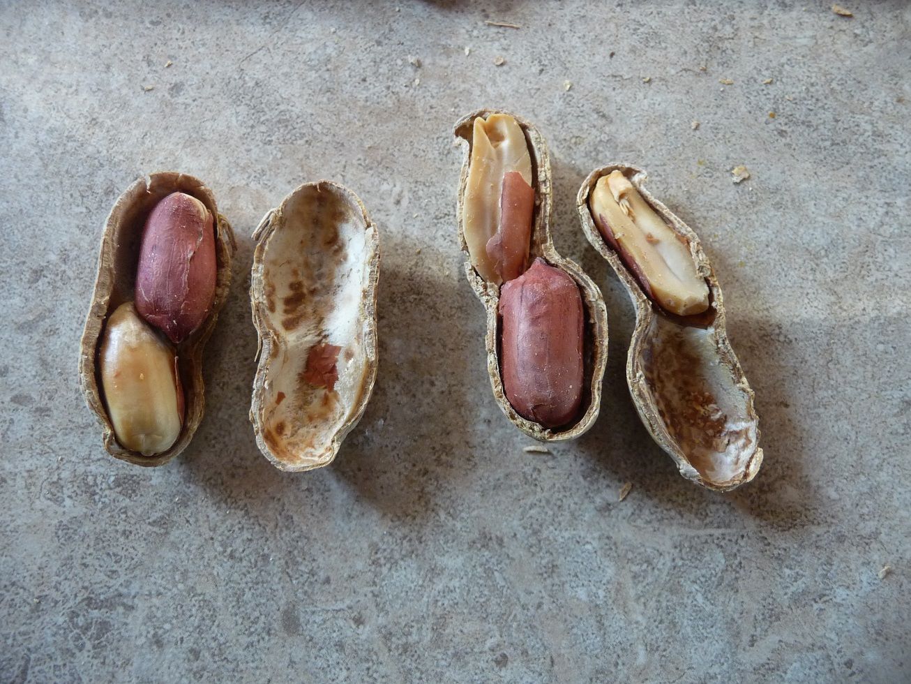 The Best Peanut Prank Ever! (with Pictures) - Instructables