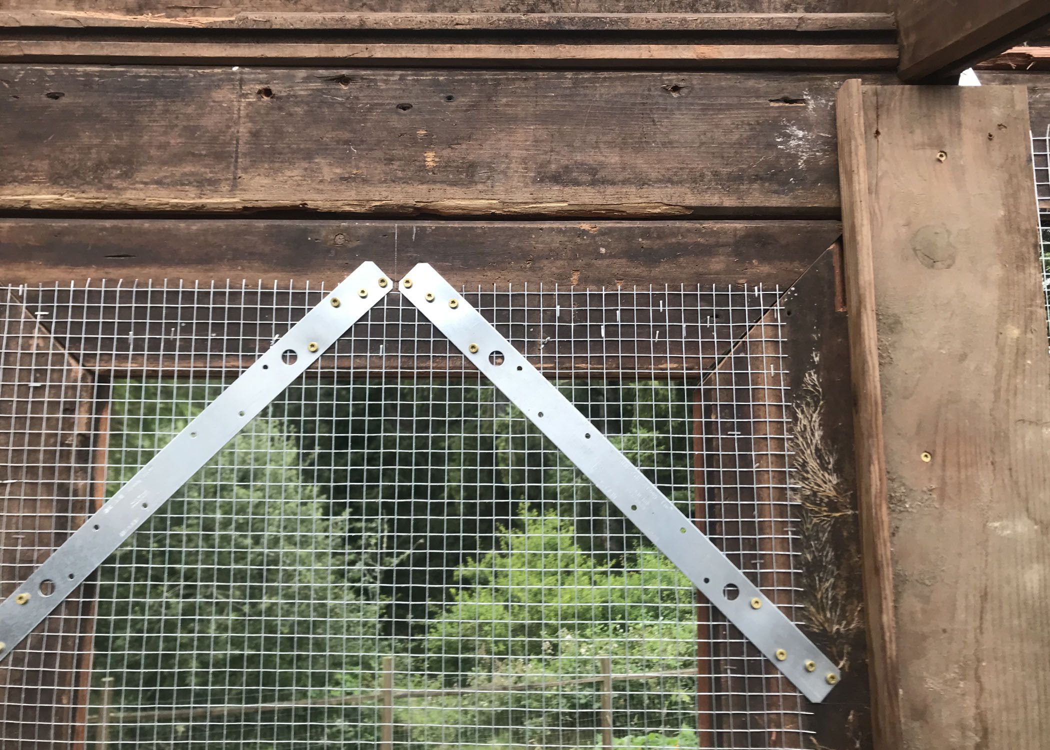 Hen Saloon : 16 Steps (with Pictures) - Instructables