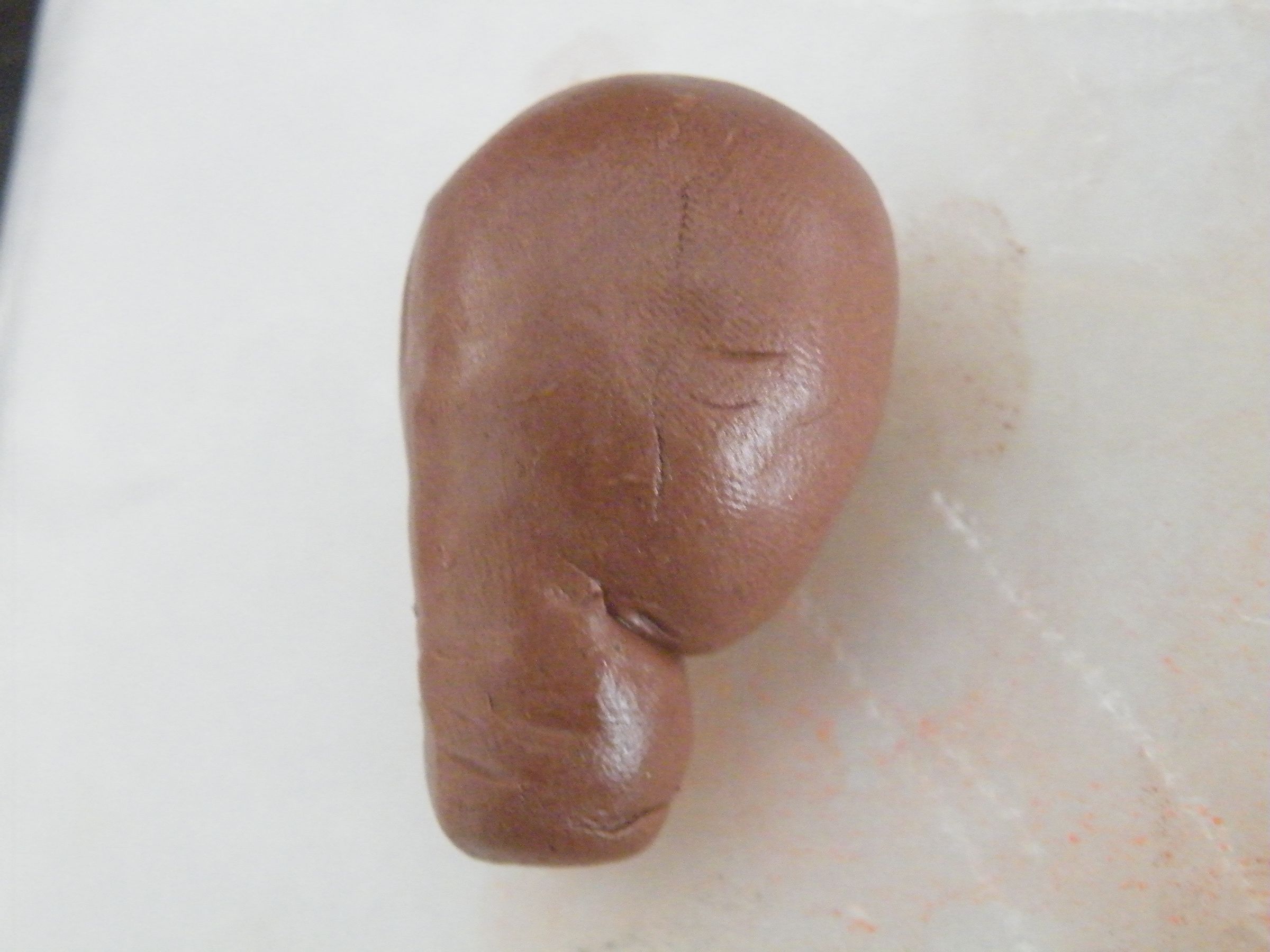 How to Sculpt a Head. : 9 Steps (with Pictures) - Instructables