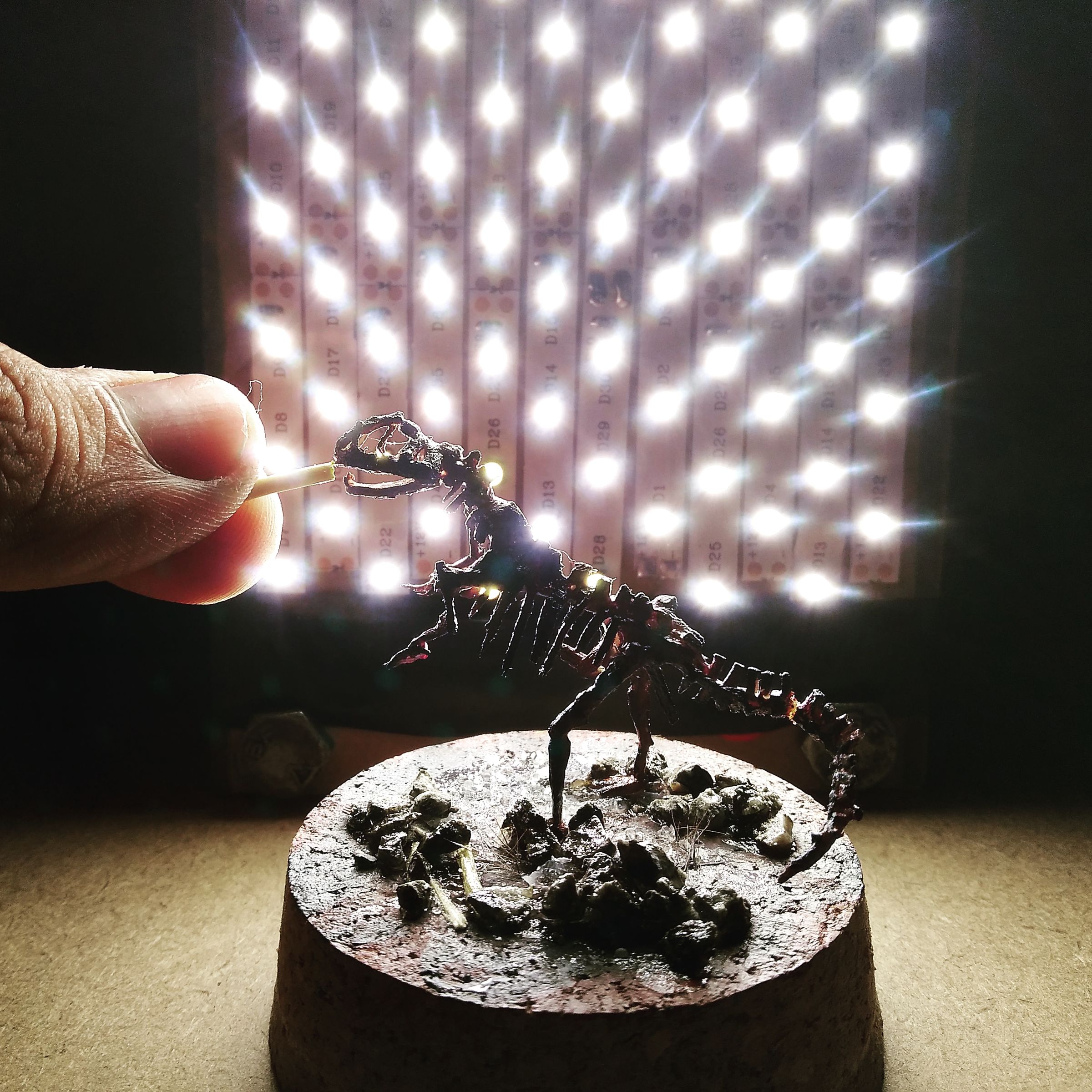 200:1 Miniature T-Rex Skeleton : 8 Steps (with Pictures) - Instructables
