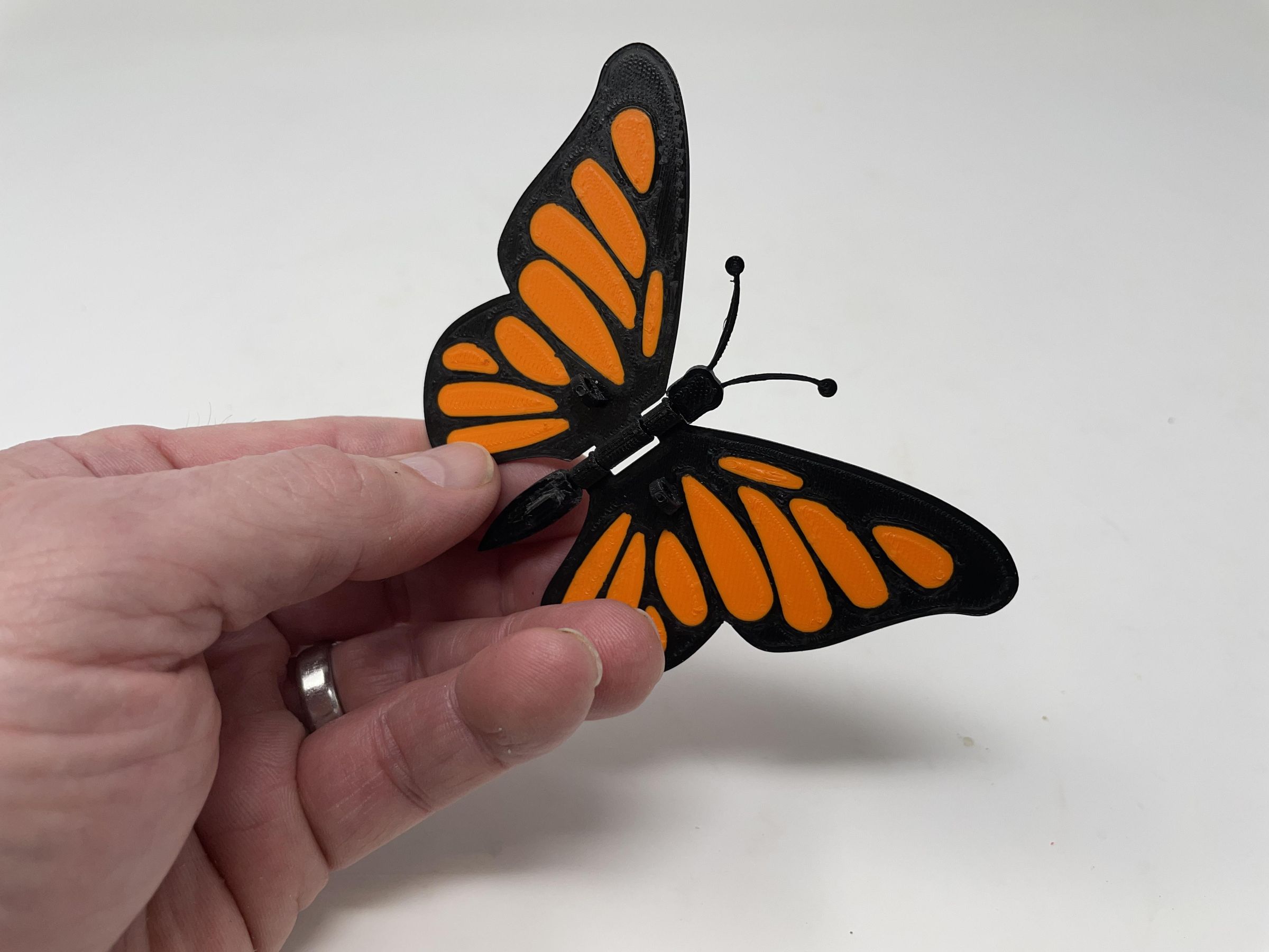 Butterfly Automaton : 4 Steps (with Pictures) - Instructables