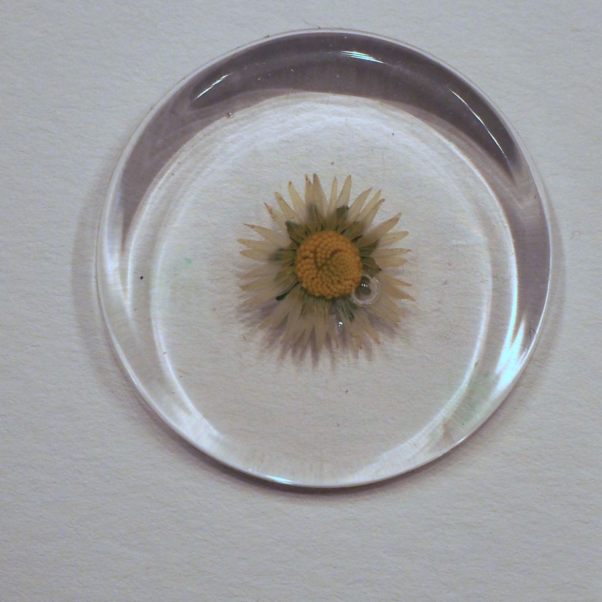 Techniques to Embed Flowers in Resin : 12 Steps (with Pictures ...