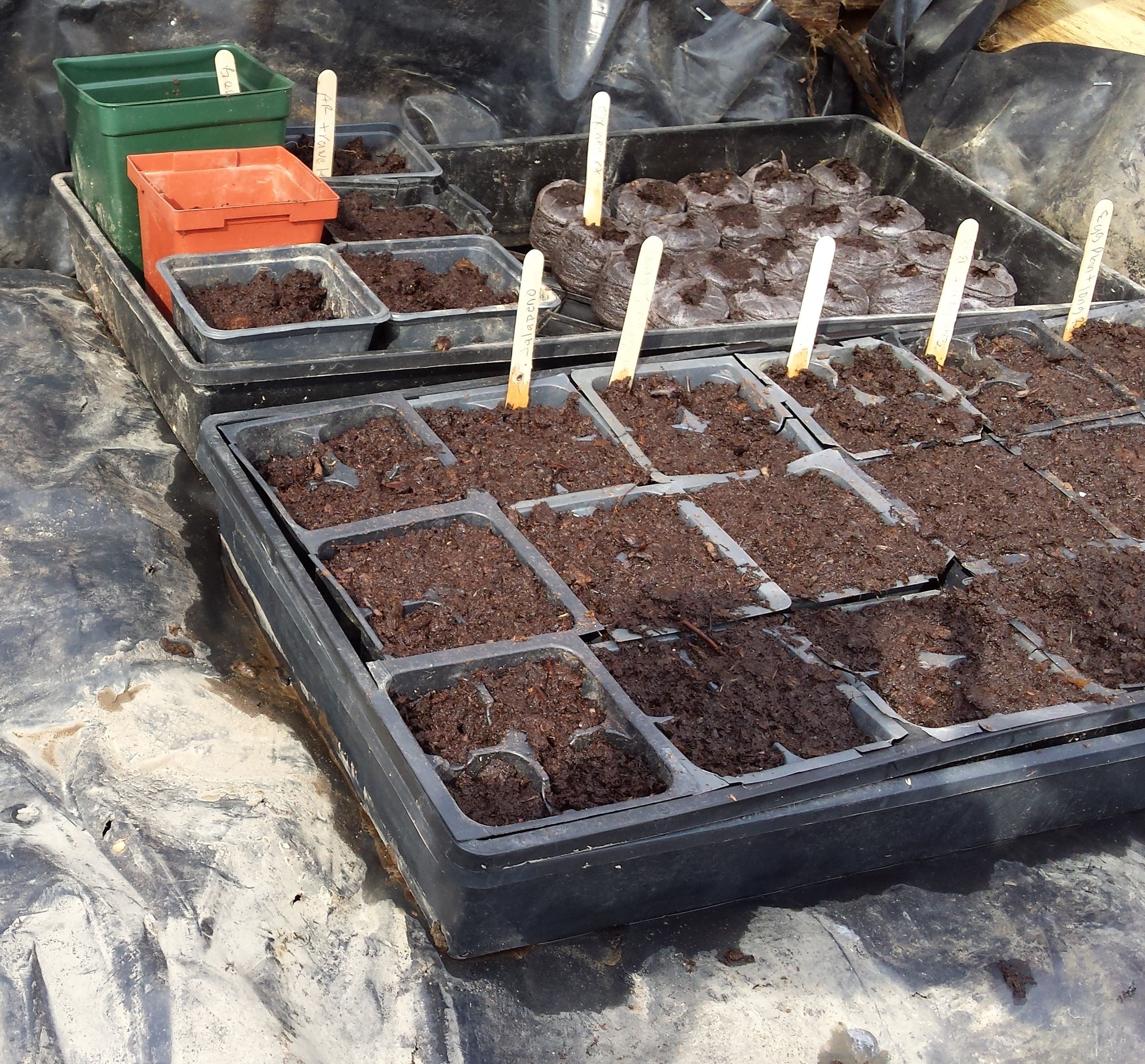 Green Powered Seed Germination Bed : 8 Steps - Instructables