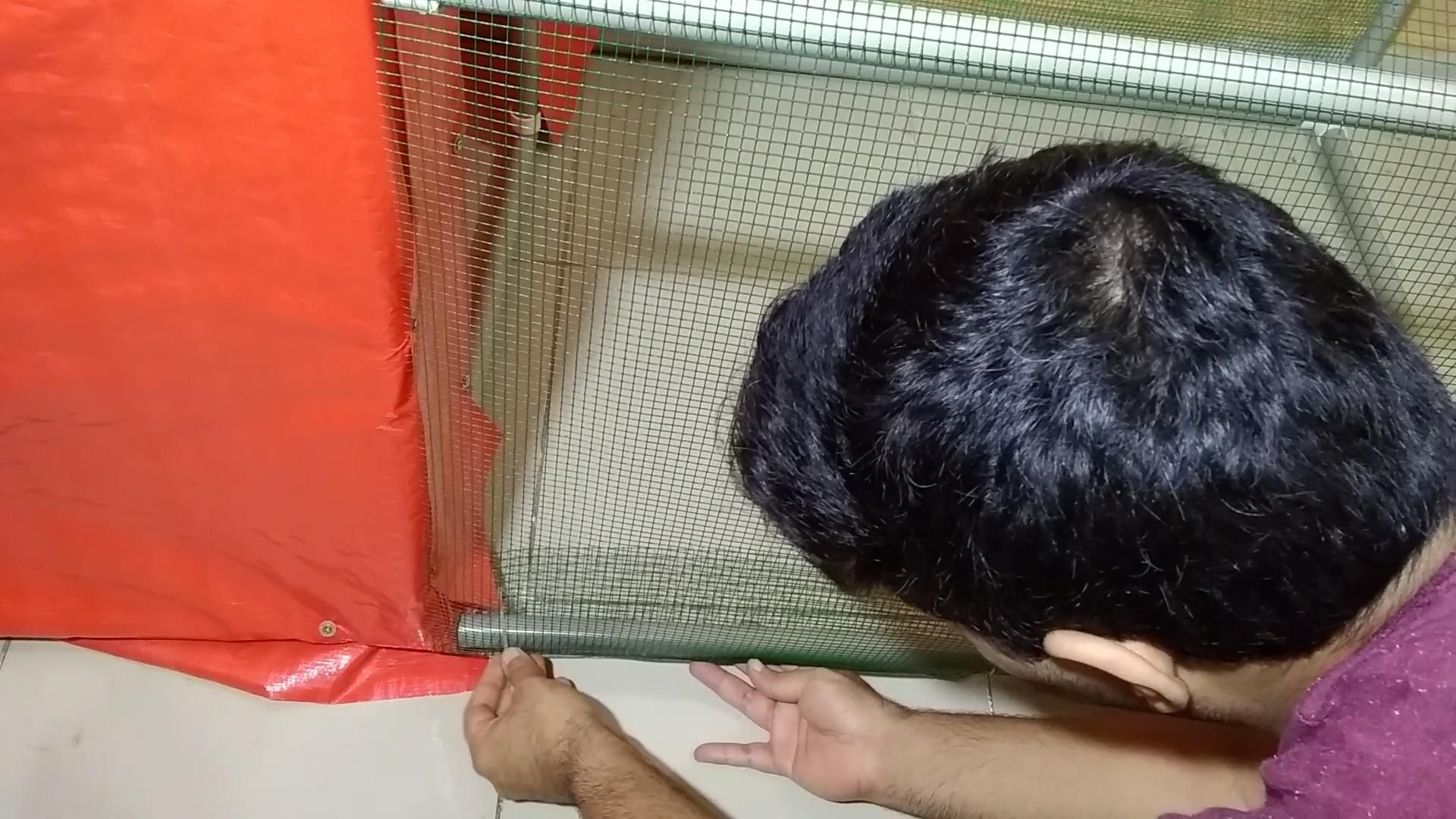 DIY PVC Chicken Coop : 13 Steps (with Pictures) - Instructables