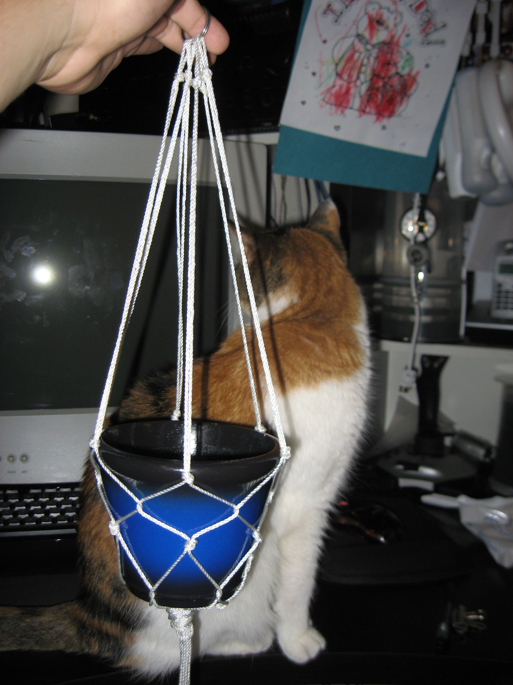 How to Make a Hanging Potted Plant Rope Holder: Kinda : 6 Steps ...