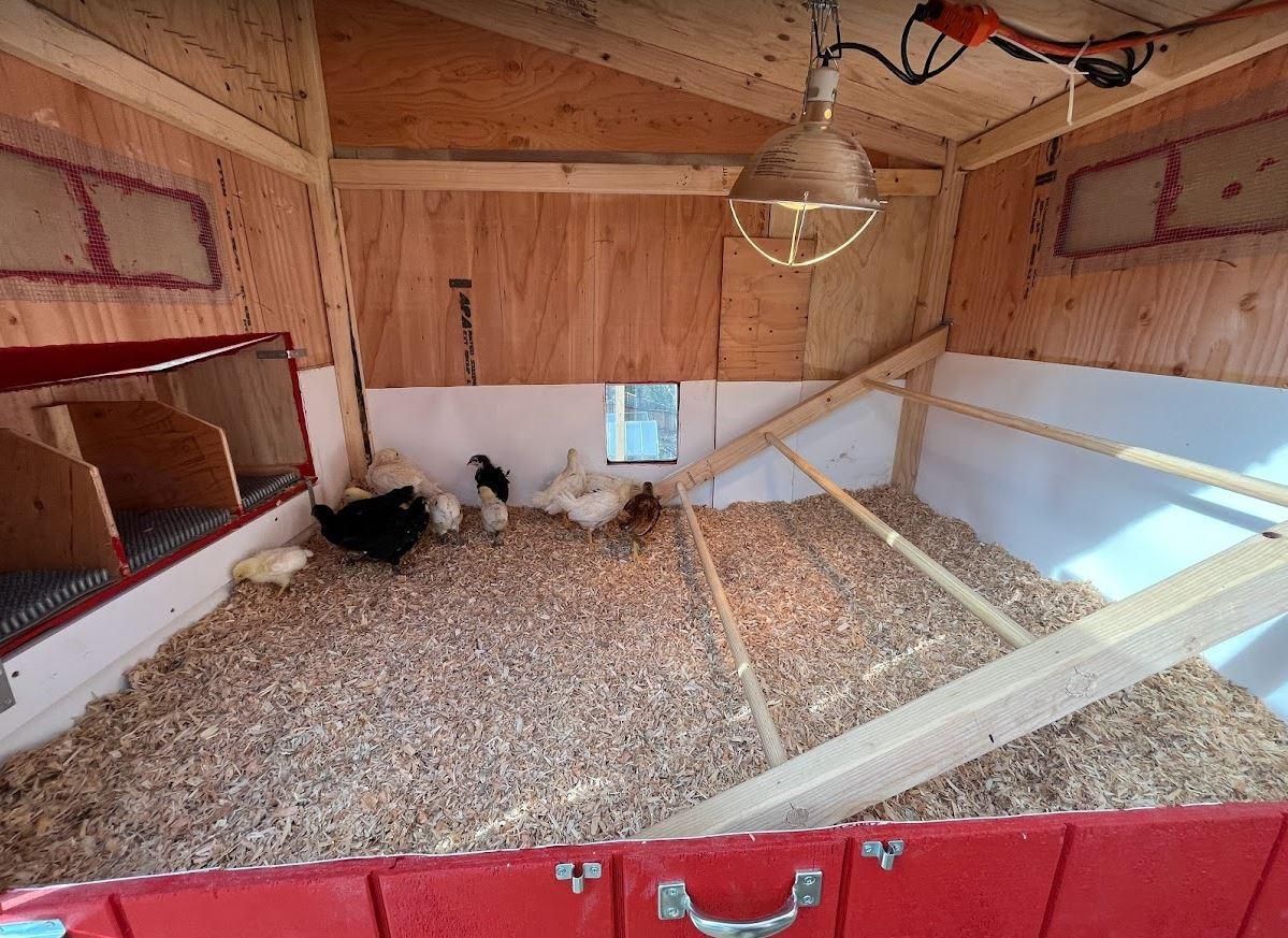 Build a DIY Chicken Palace : 7 Steps (with Pictures) - Instructables