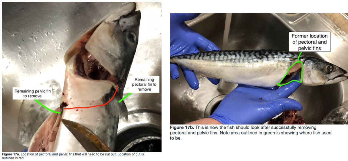 How to Clean a Fish : 22 Steps (with Pictures) - Instructables