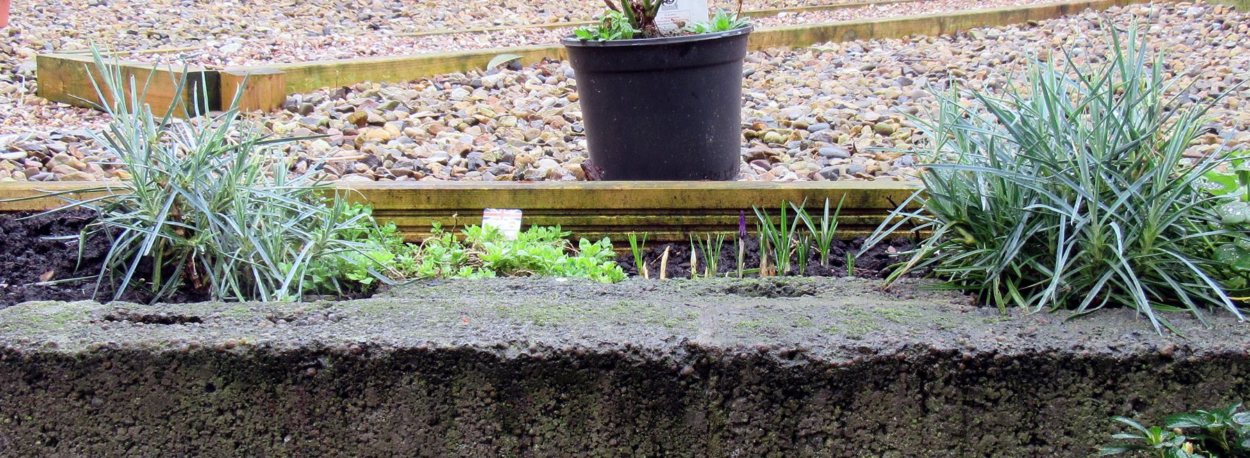 Picaxe Greenhouse Light Sensor Controller : 7 Steps (with Pictures) - Instructables