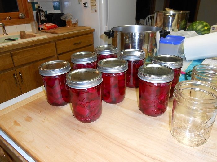A How To: Canning Pickled Red Beets : 16 Steps (with Pictures ...
