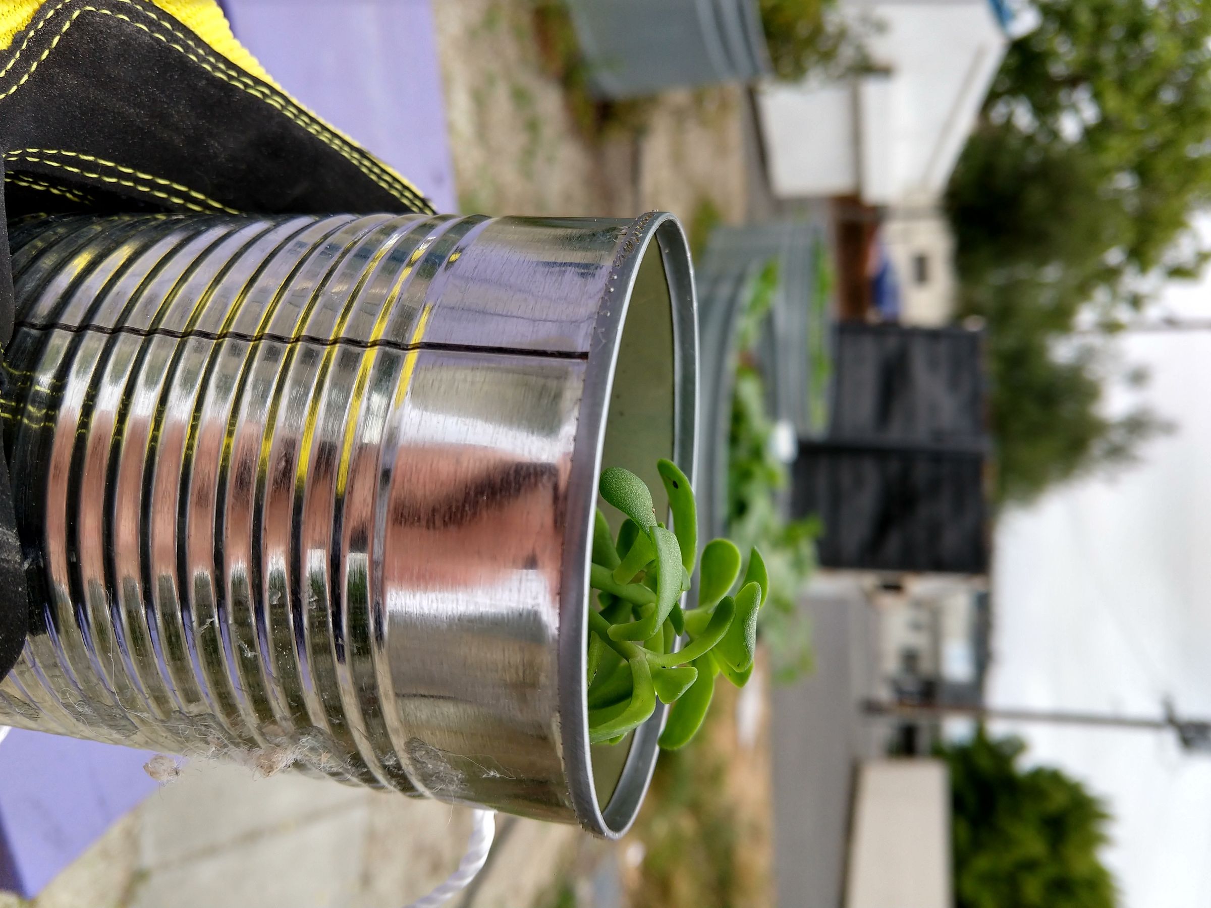 How to Make a Coffee Can Planter! : 6 Steps - Instructables