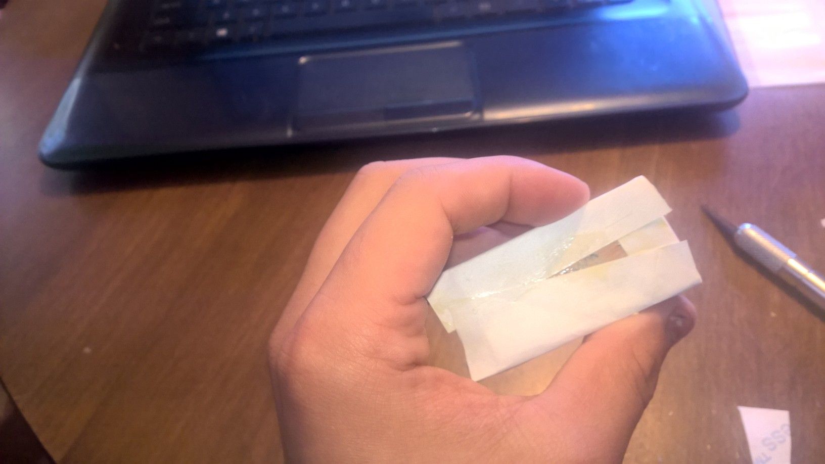 A (detailed) Beginner's Guide to Rebellowing a Cuckoo Clock : 12 Steps ...