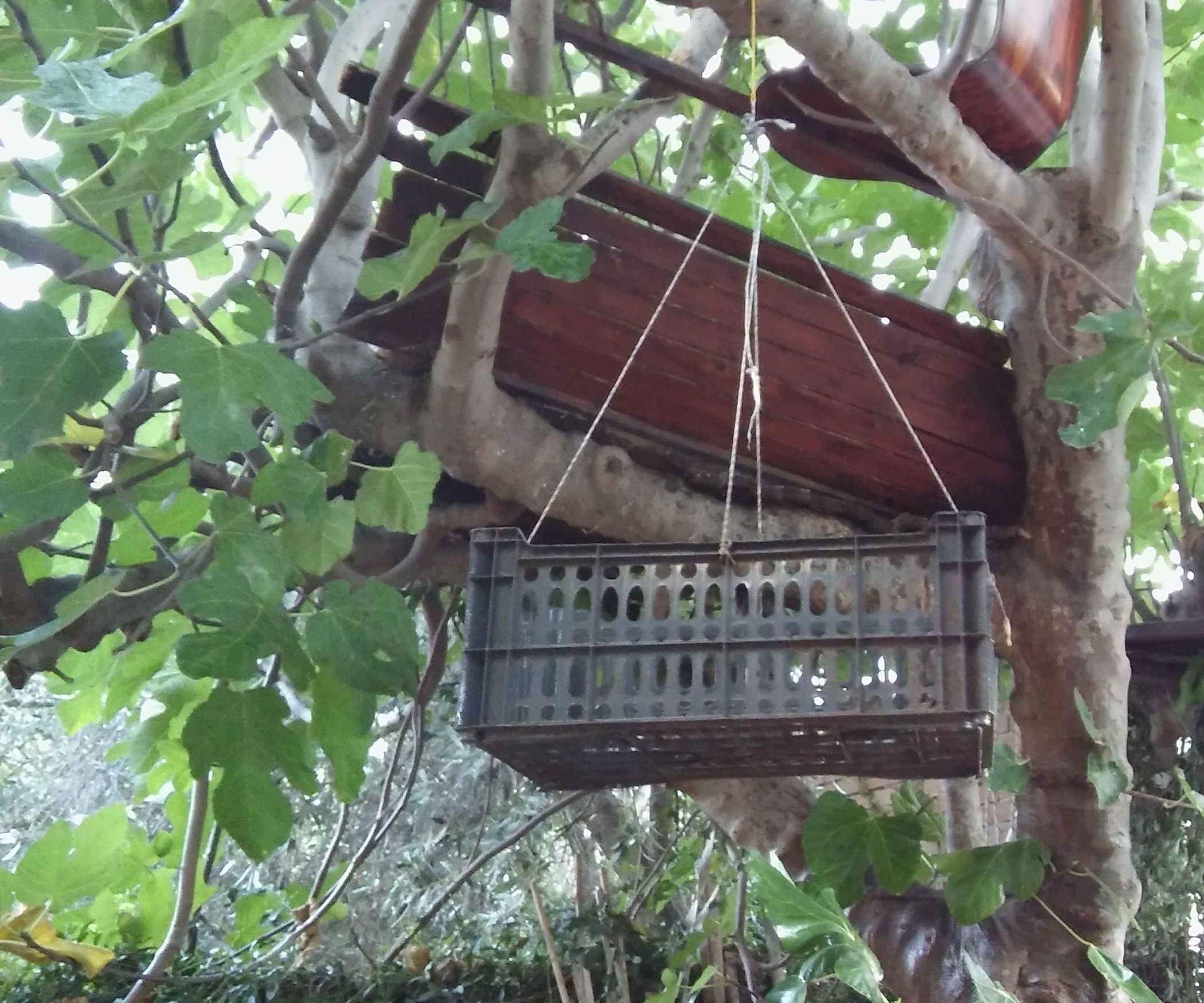 Tree-house Elevator : 3 Steps (with Pictures) - Instructables