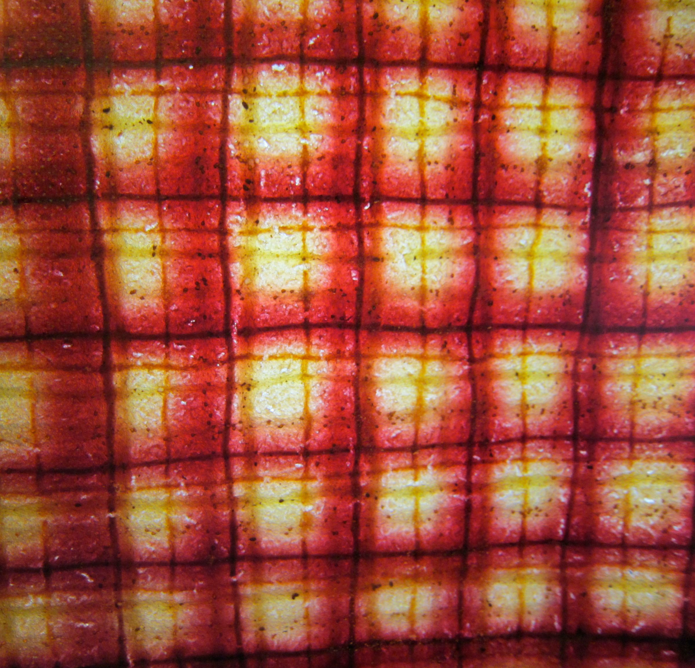Patterned Fruit Leather : 3 Steps (with Pictures) - Instructables