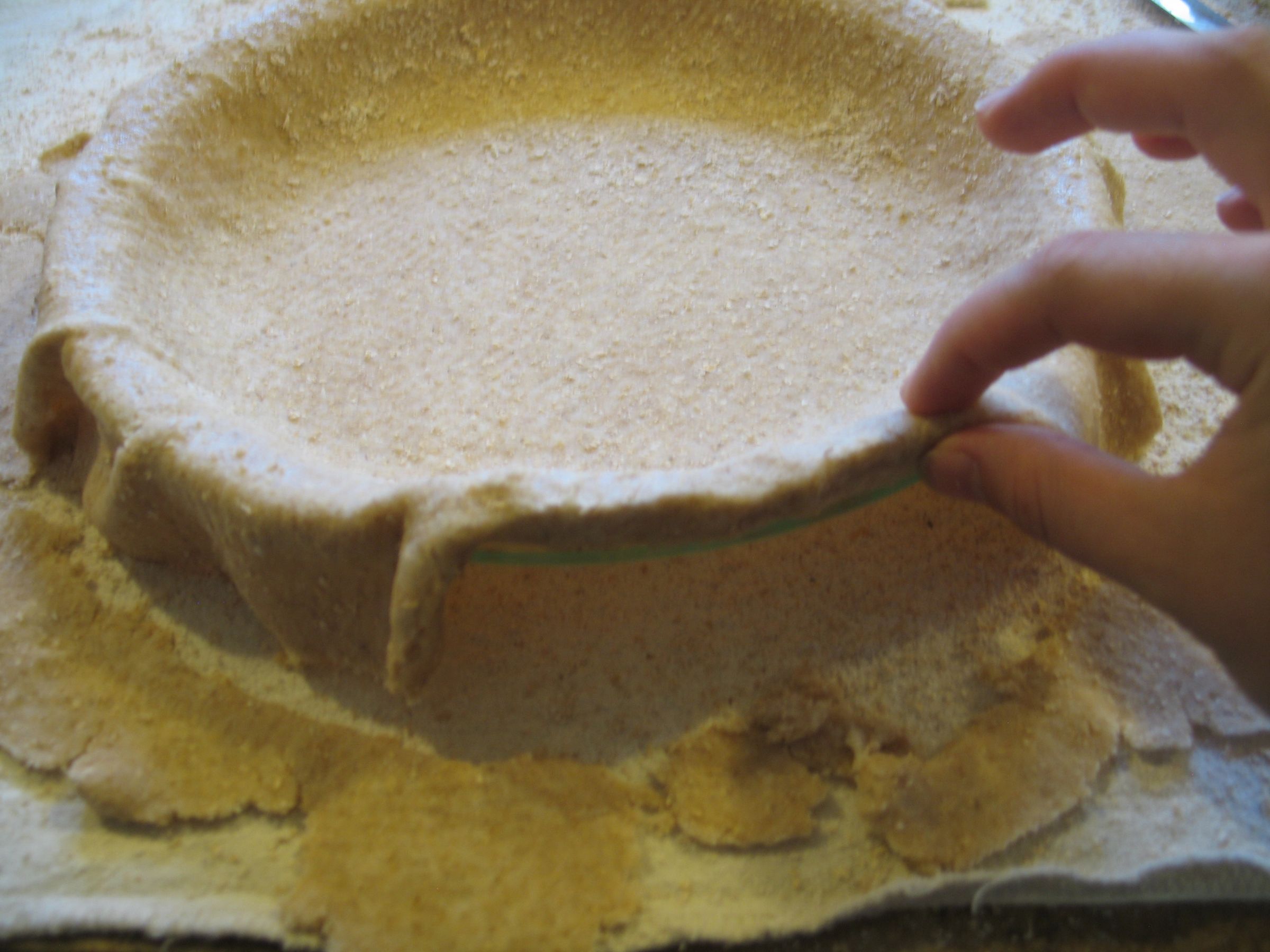 An Introduction to Whole Wheat Pie Crusts : 7 Steps (with Pictures ...