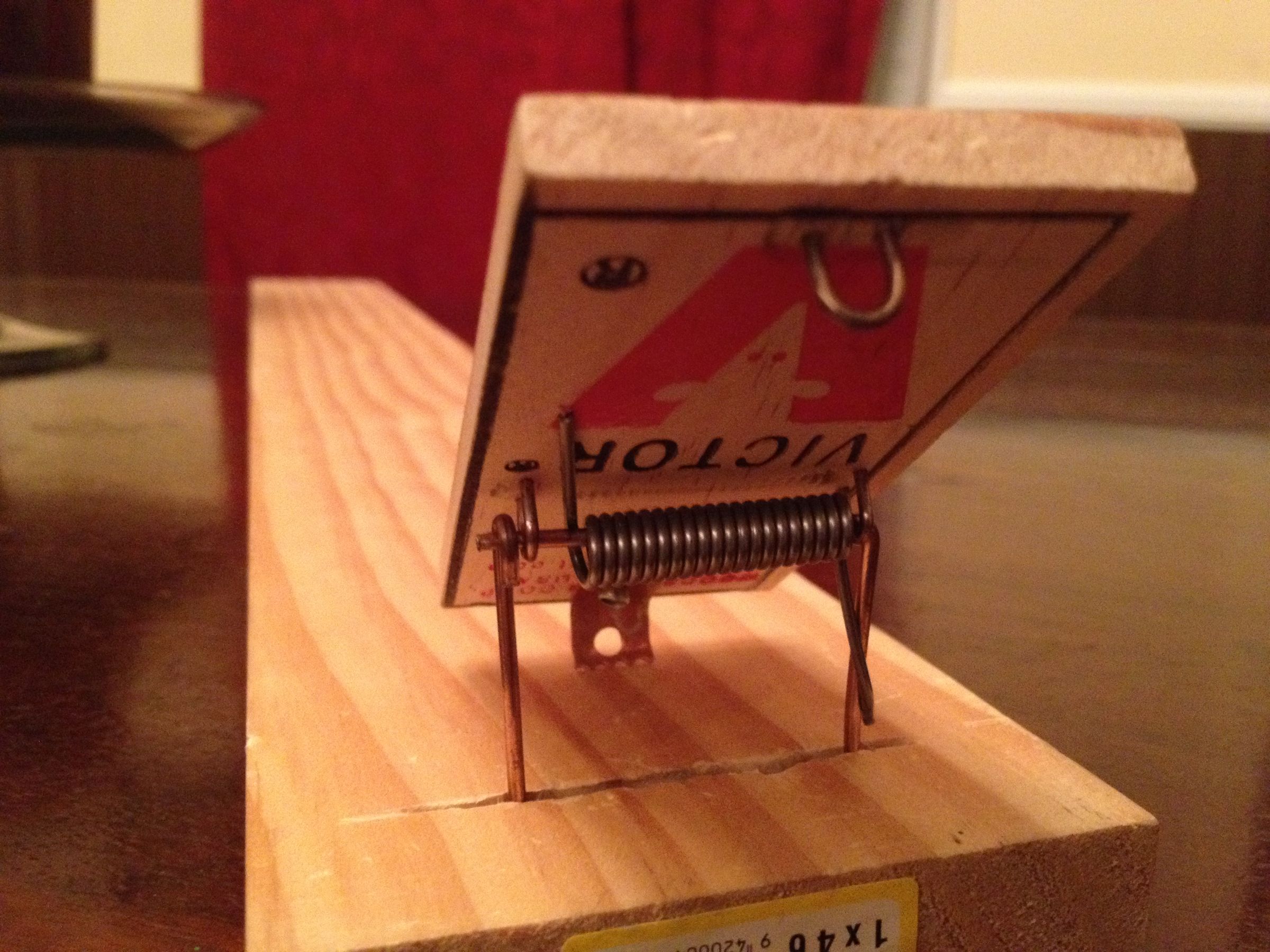 Mouse Trap Clipboard : 5 Steps - Instructables