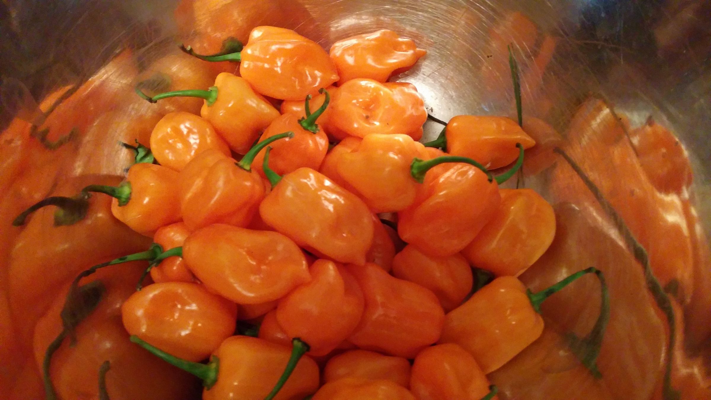 Hot Pepper Preservation : 5 Steps (with Pictures) - Instructables