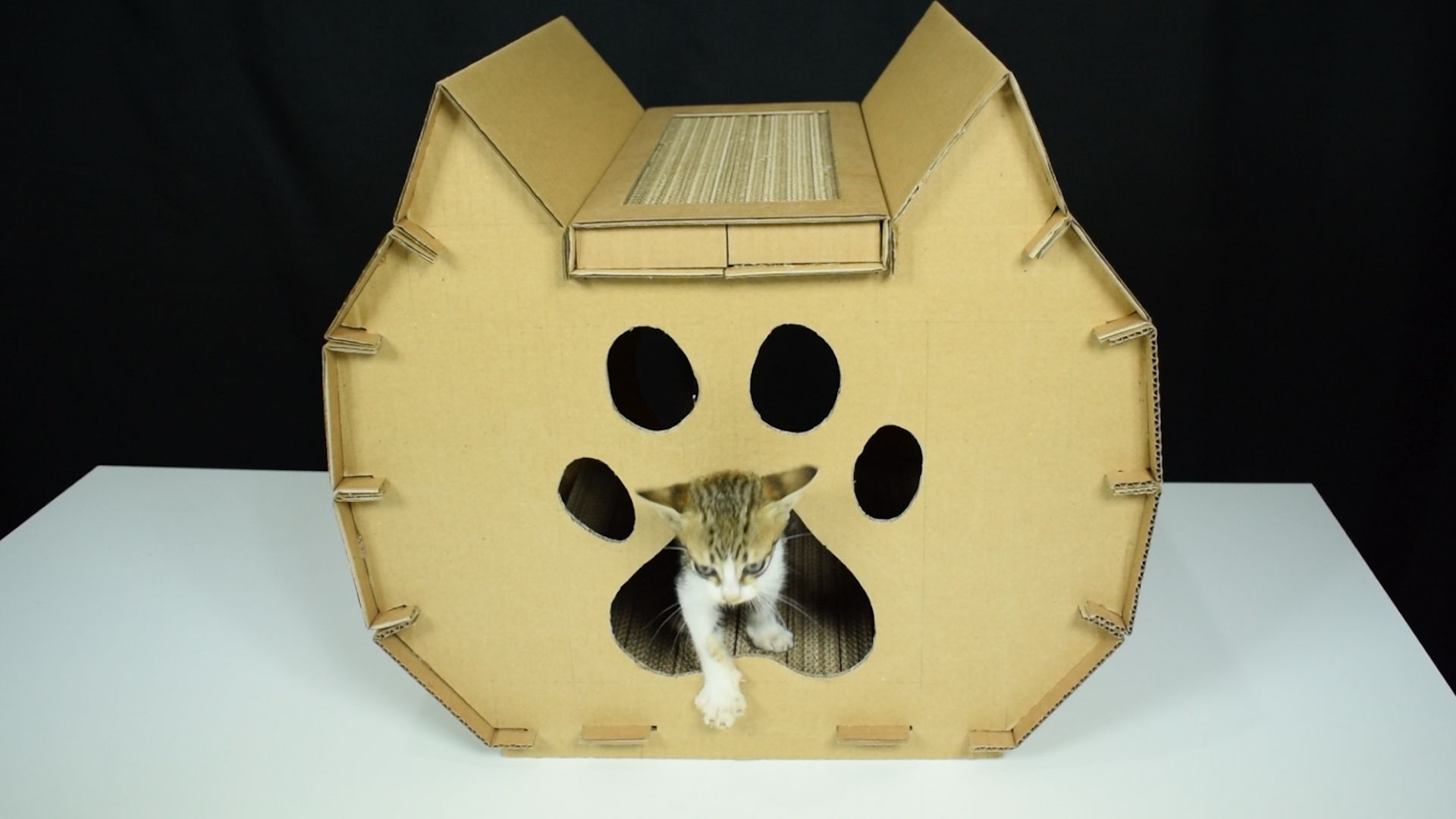 Cardboard Cat House With Scratcher : 4 Steps (with Pictures ...