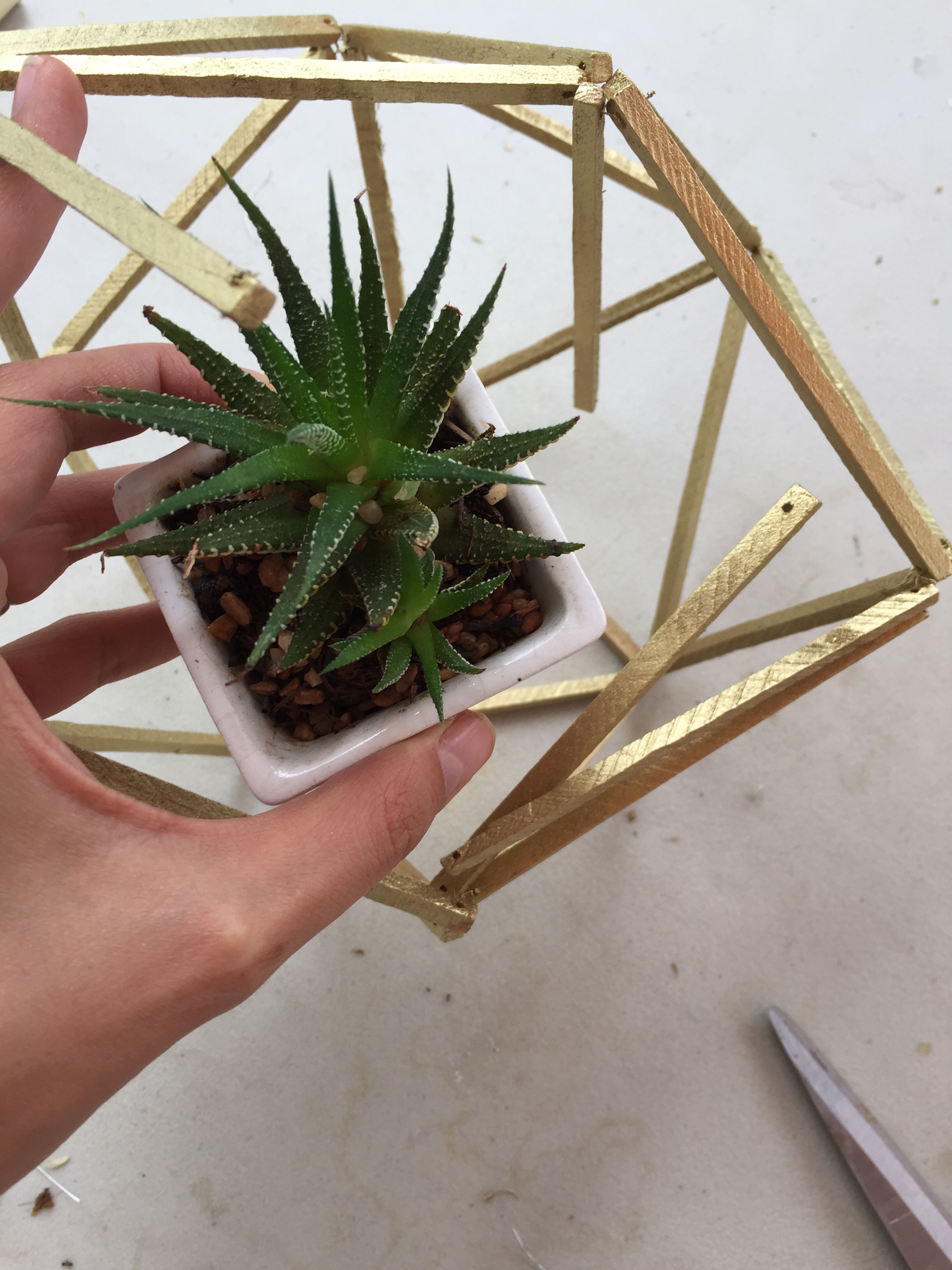 Polygon Pot Decoration : 6 Steps (with Pictures) - Instructables