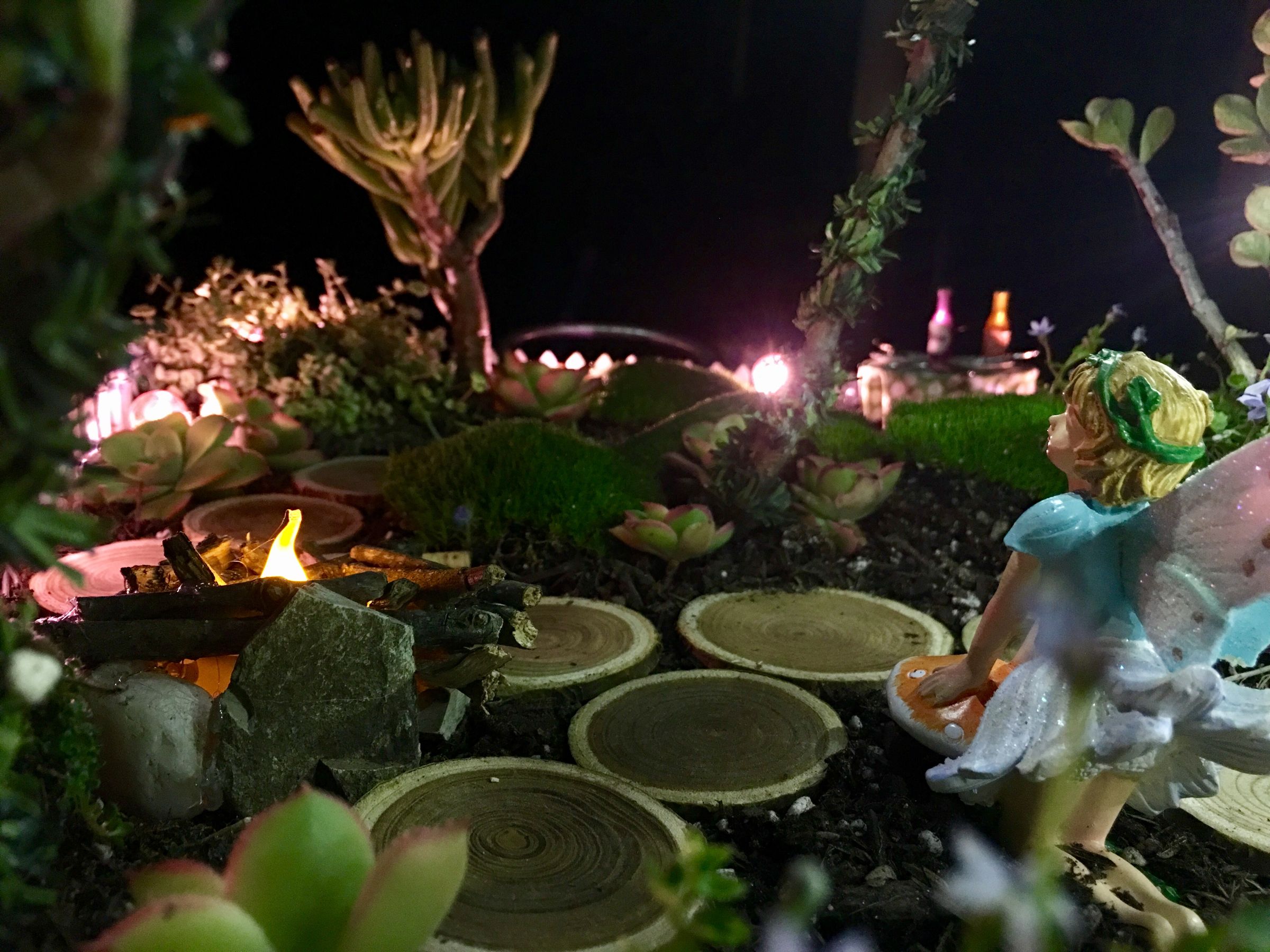 a Magical Lighted Fairy Garden! : 8 Steps (with Pictures) - Instructables
