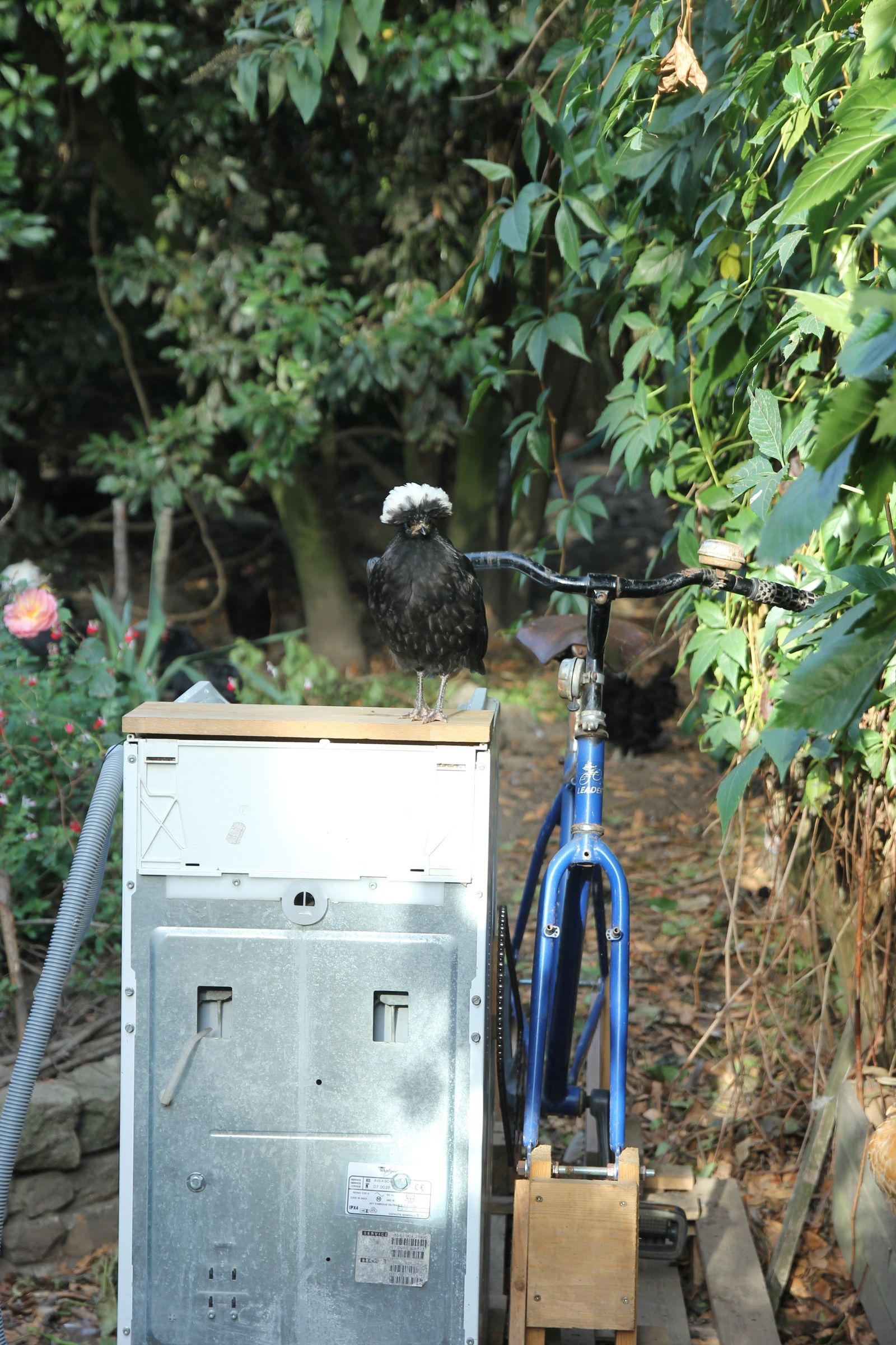 Reusing a Defunct Top-Loading Washing Machine by Converting It to Pedal ...