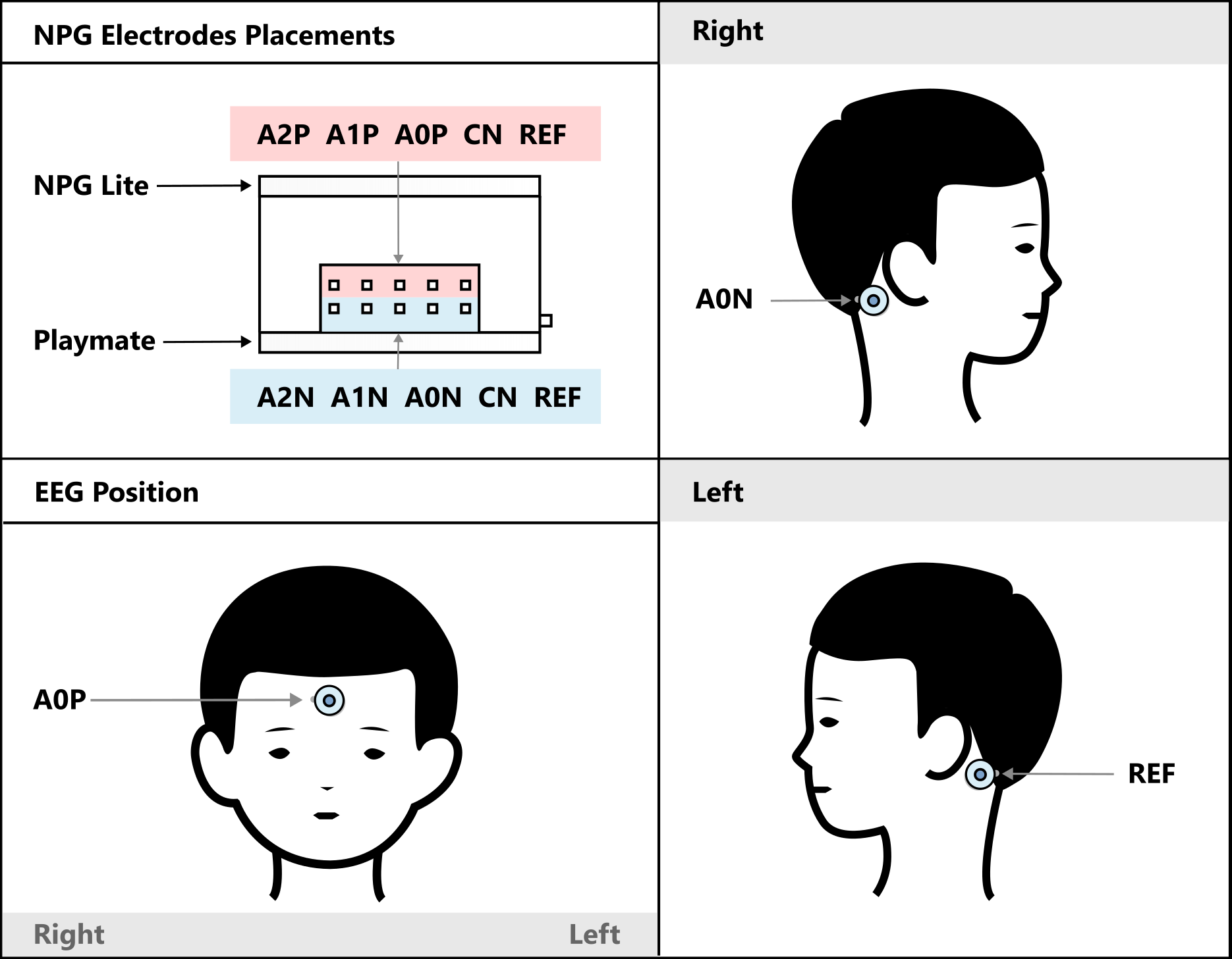 Pop Bubbles With Your Mind (EEG) | Neuro PlayGround (NPG) Lite : 7 ...