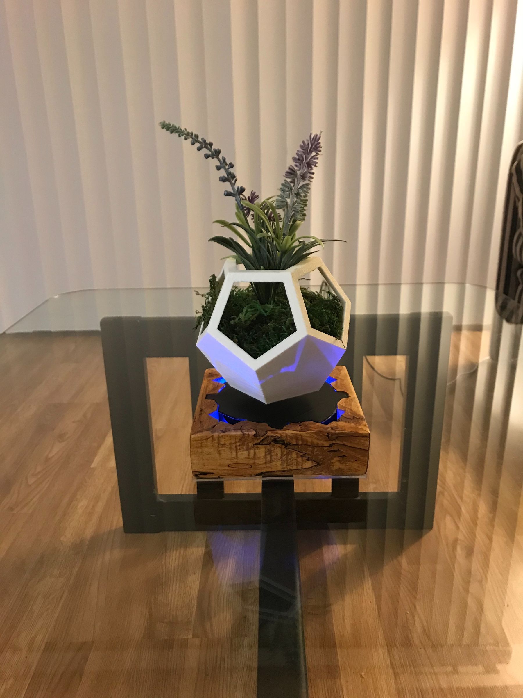 Magnetic Levitating Flower Pot : 4 Steps (with Pictures) - Instructables