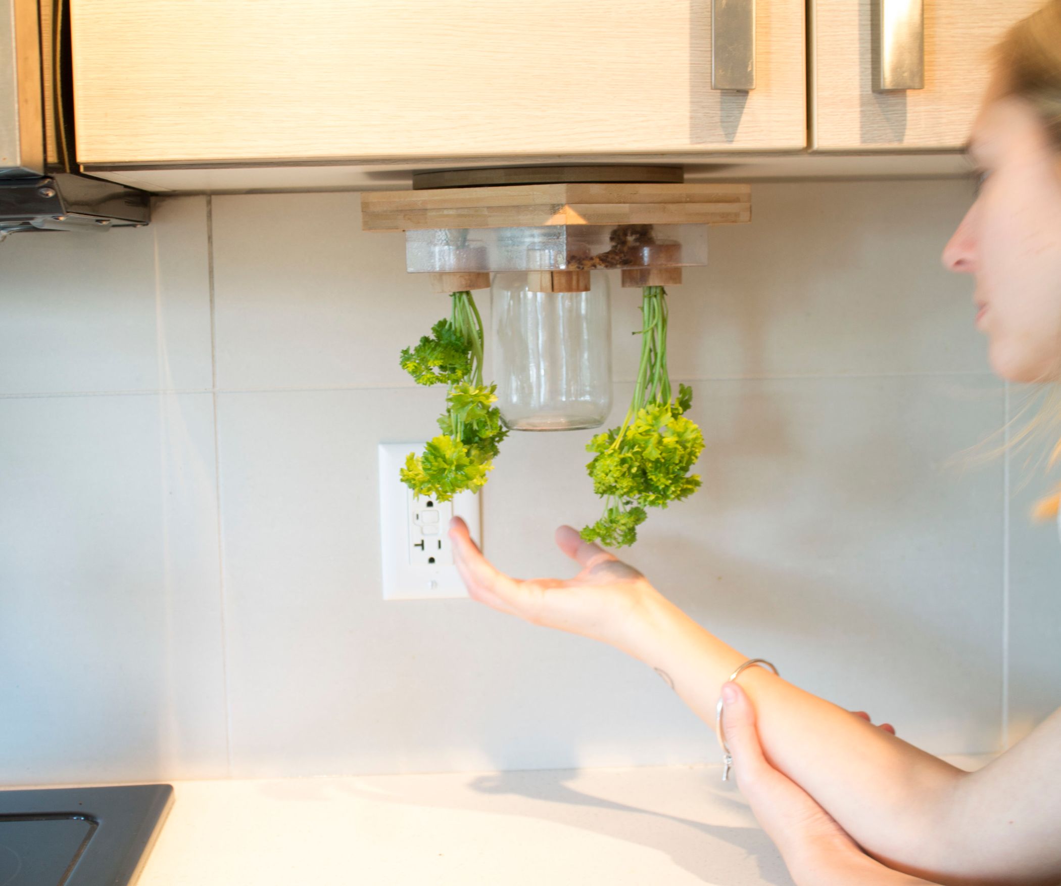 Space Saving Planter: Growing Upside Down : 10 Steps - Instructables