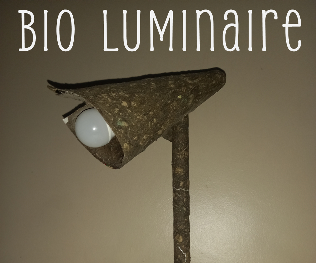 Bio Luminaire : 8 Steps - Instructables